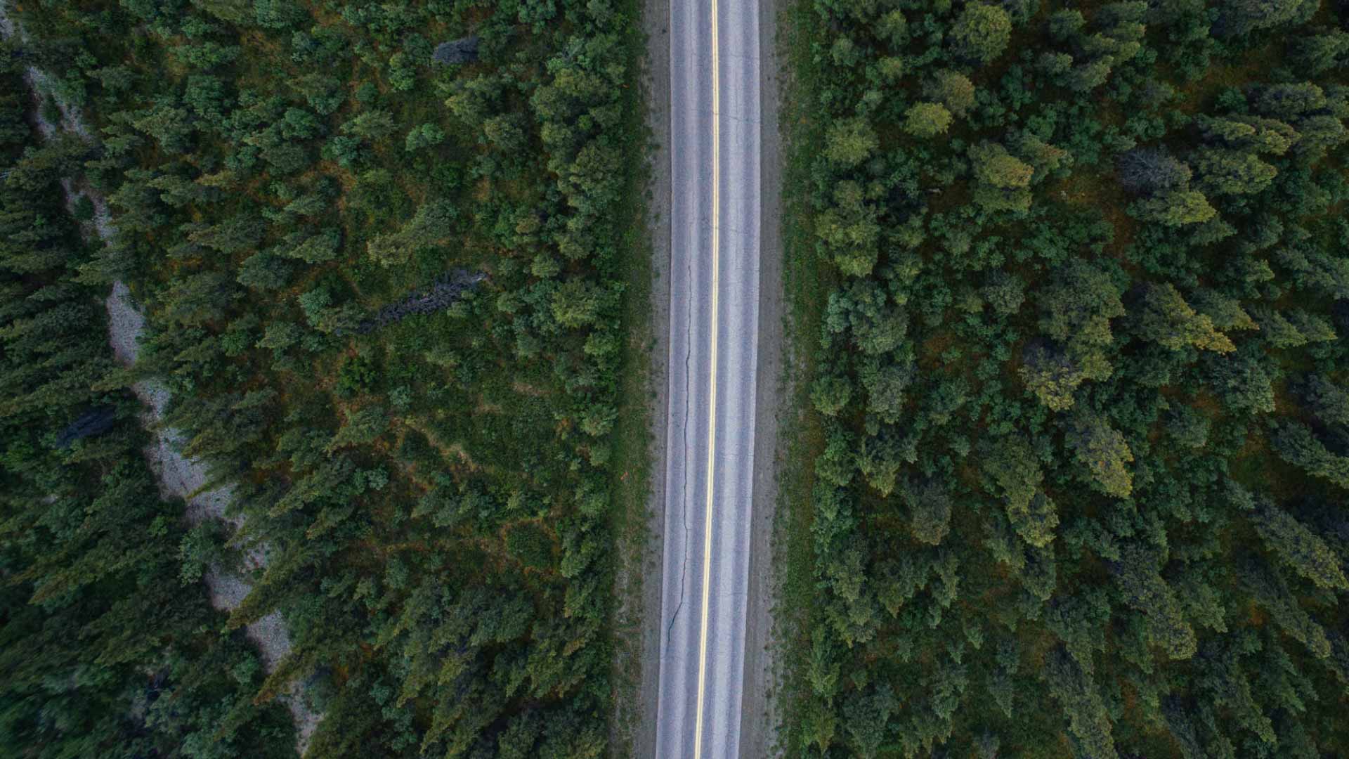 Alaska Highway Complete Guide