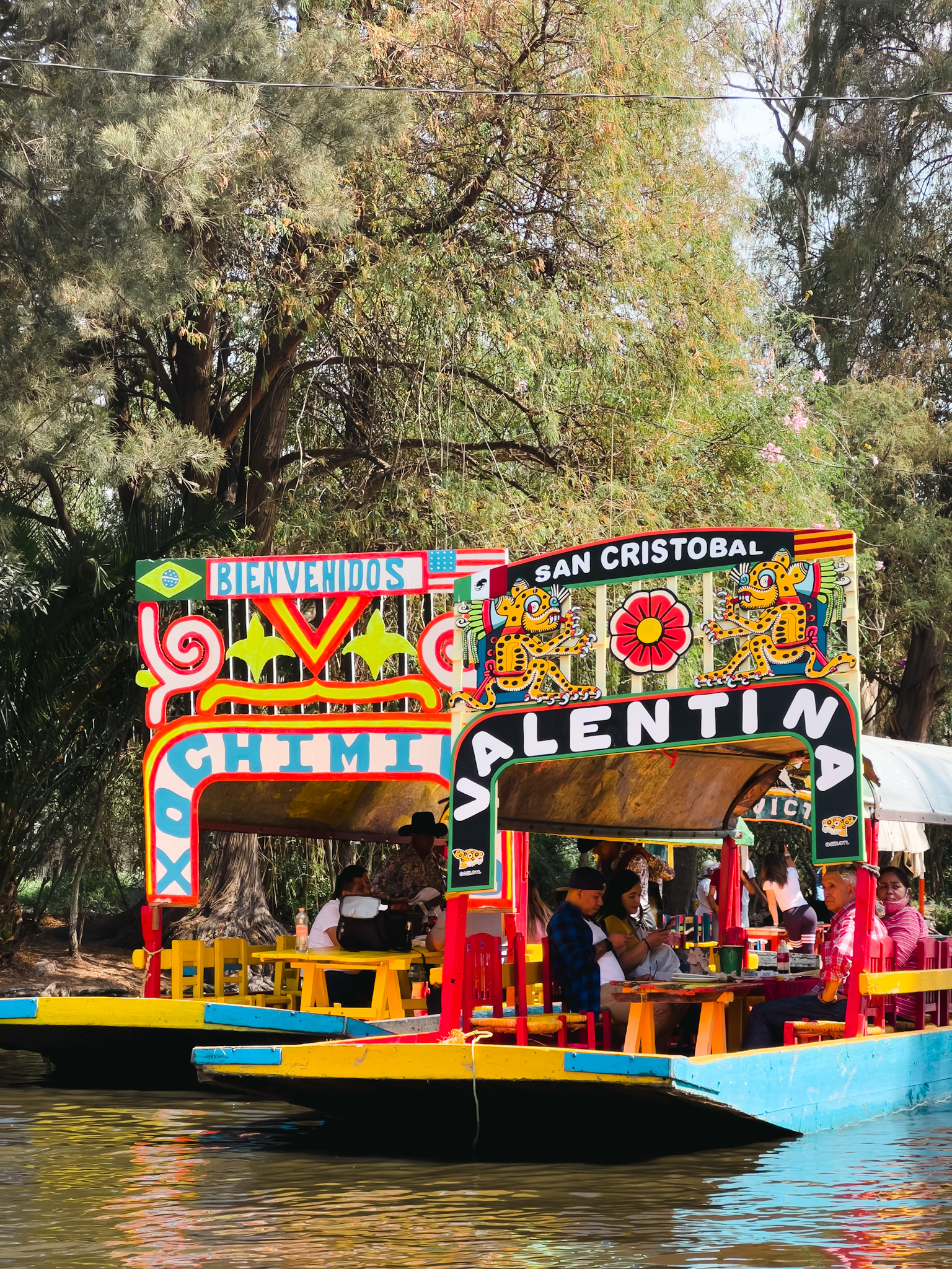 Xochimilco, Mexico City: What to know before you go