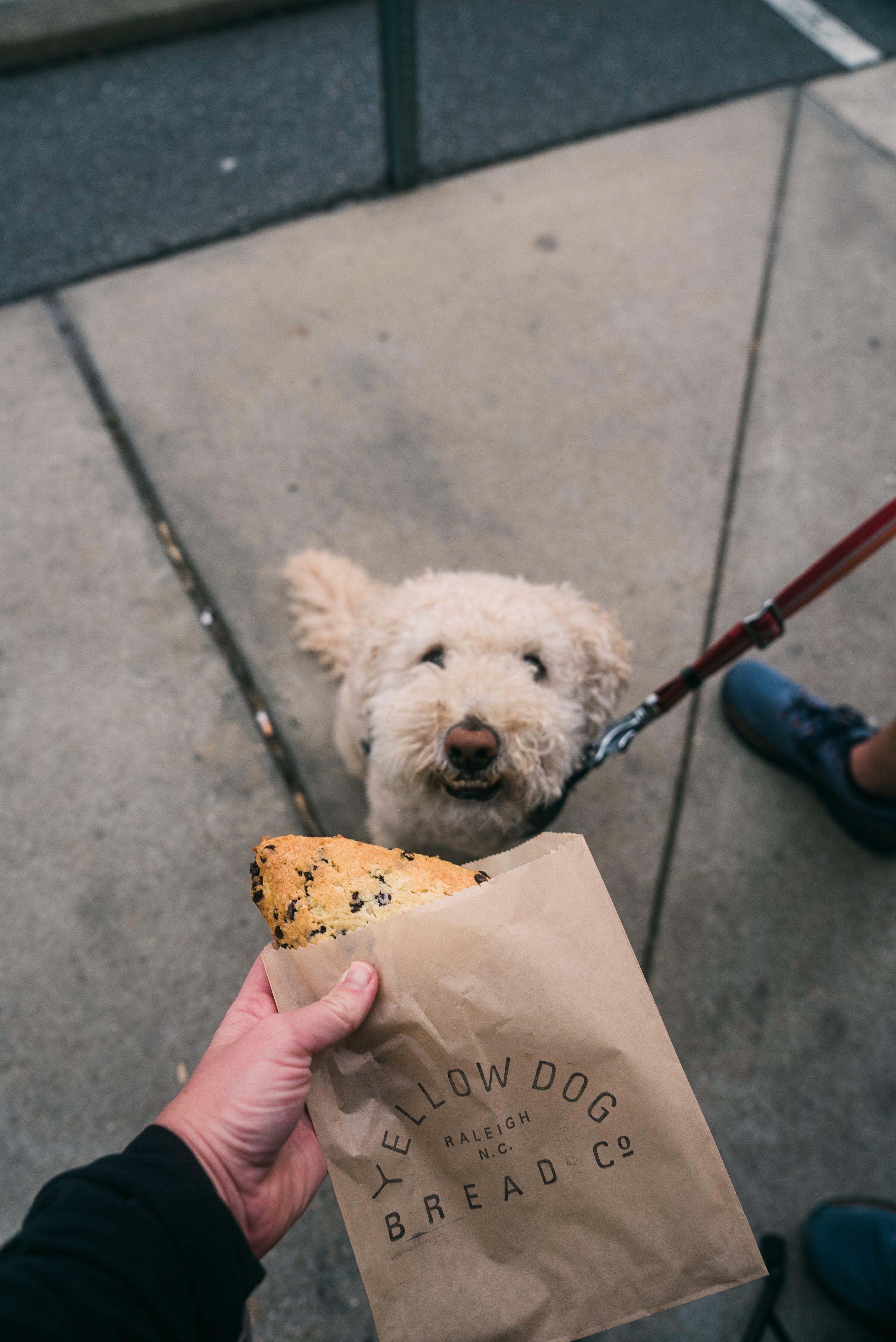 35 Best Restaurants in Raleigh, NC That Locals Love