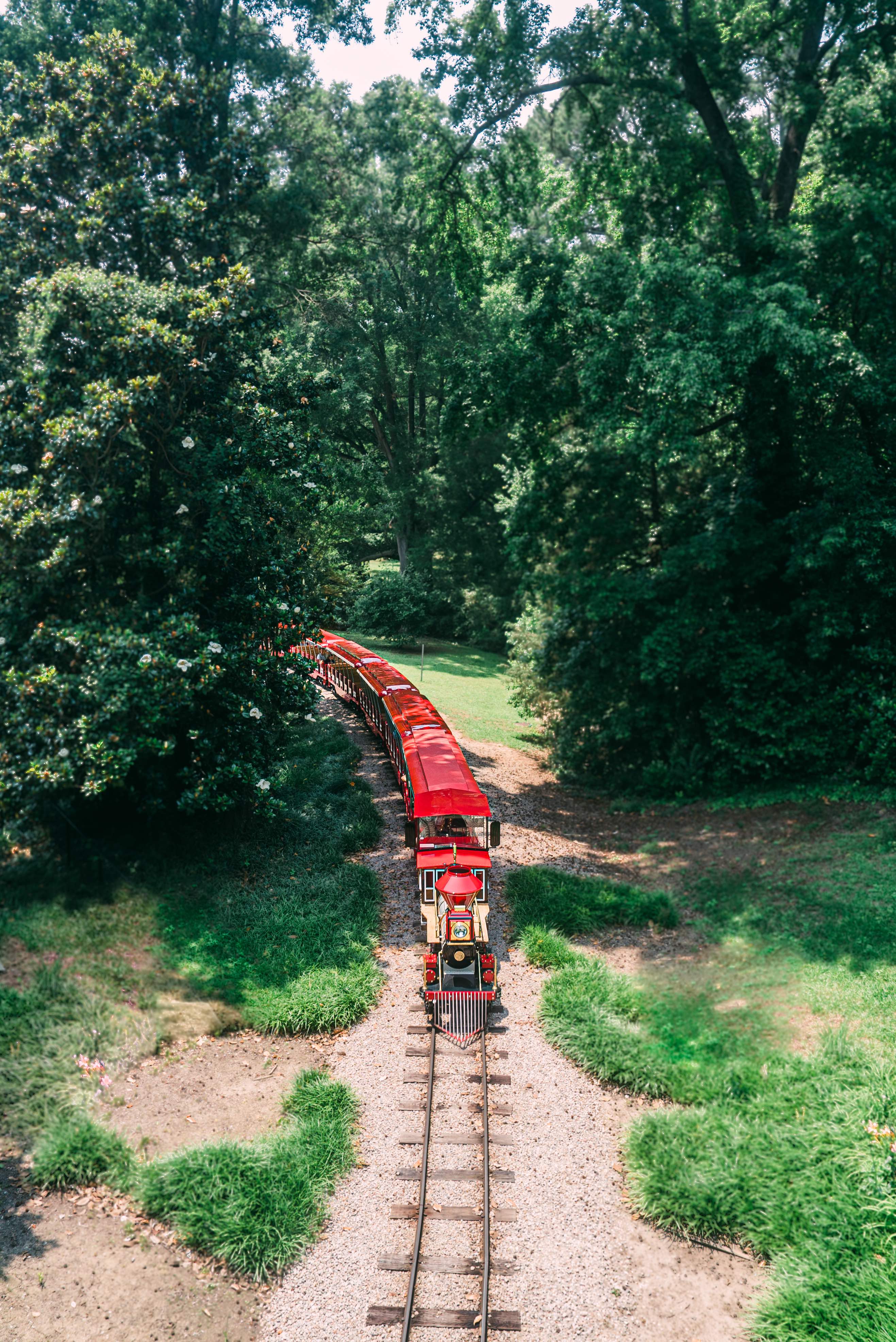 34 Things to Do in Raleigh, Durham, and Chapel Hill