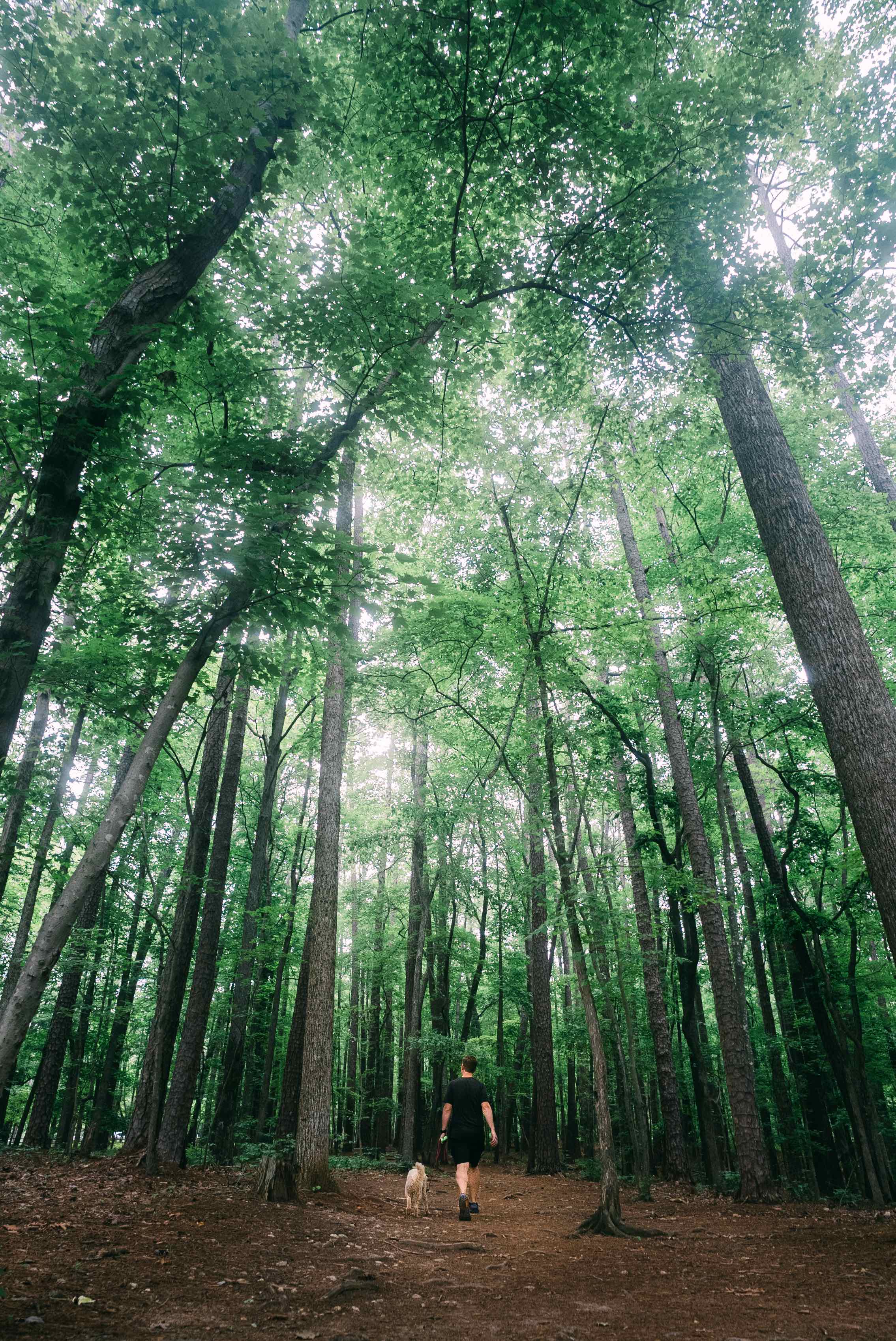 34 Things to Do in Raleigh, Durham, and Chapel Hill