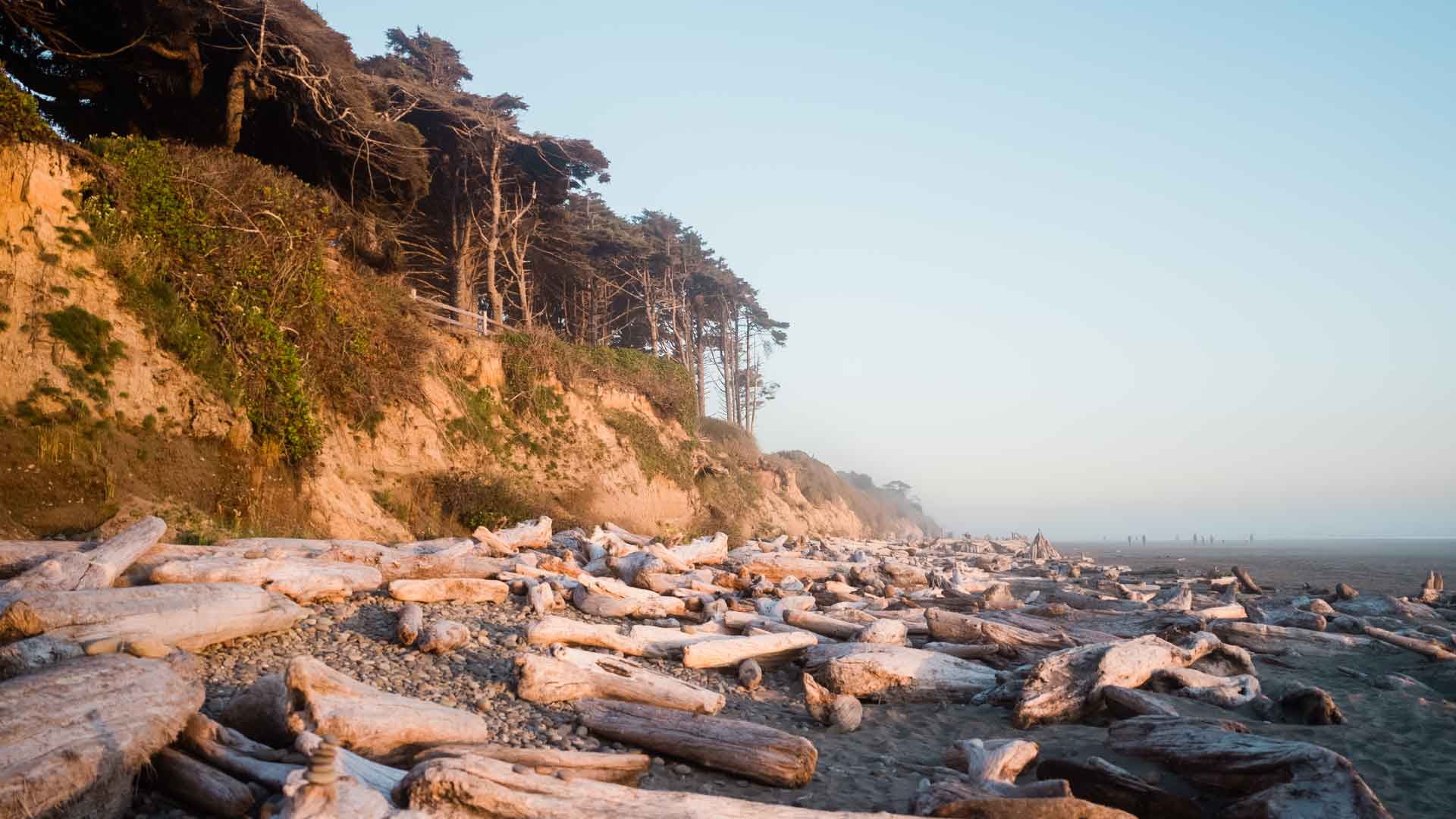 Explore Kalaloch in Washington's Olympic National Park | Everything You ...