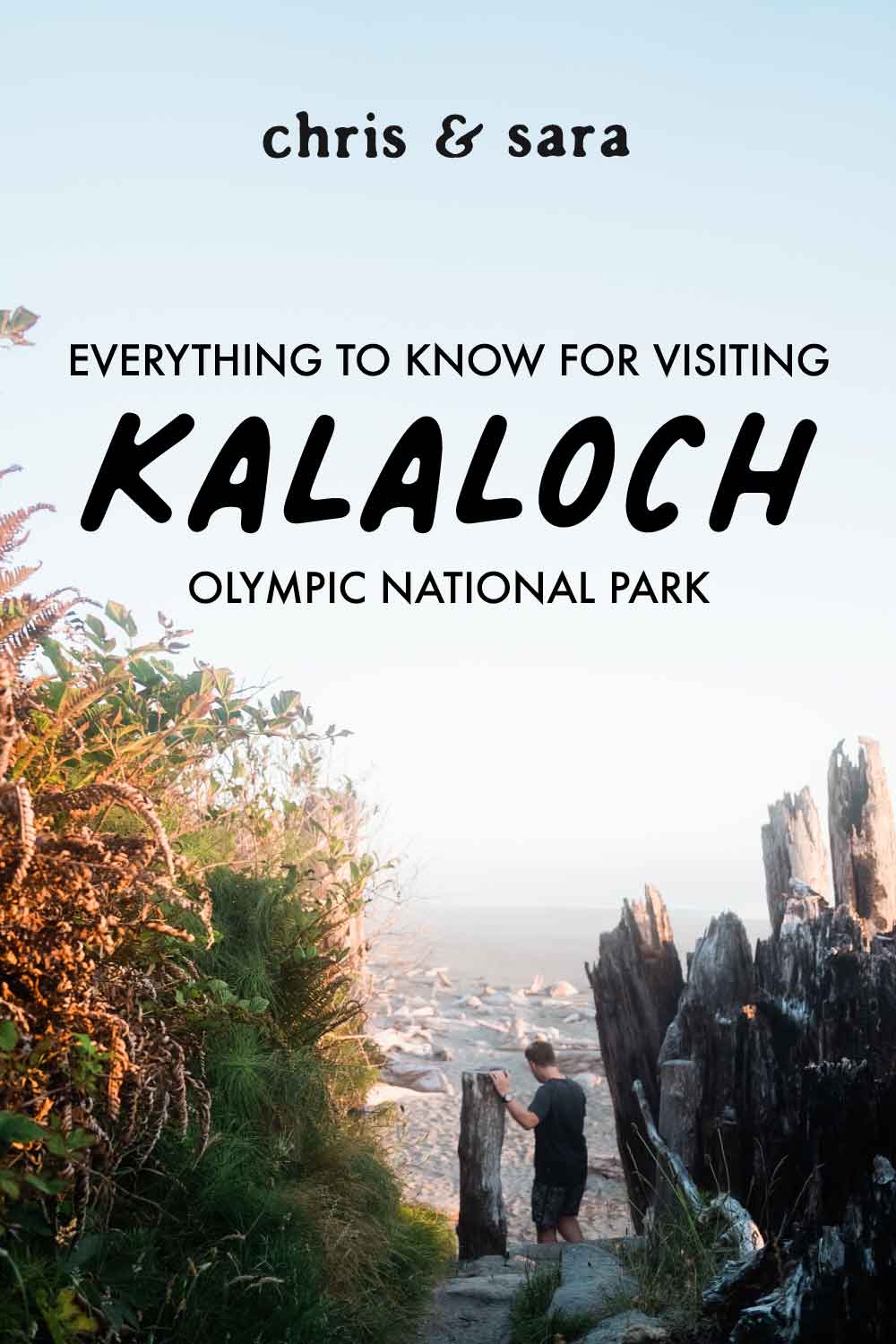 Explore Kalaloch in Washington's Olympic National Park | Everything You ...