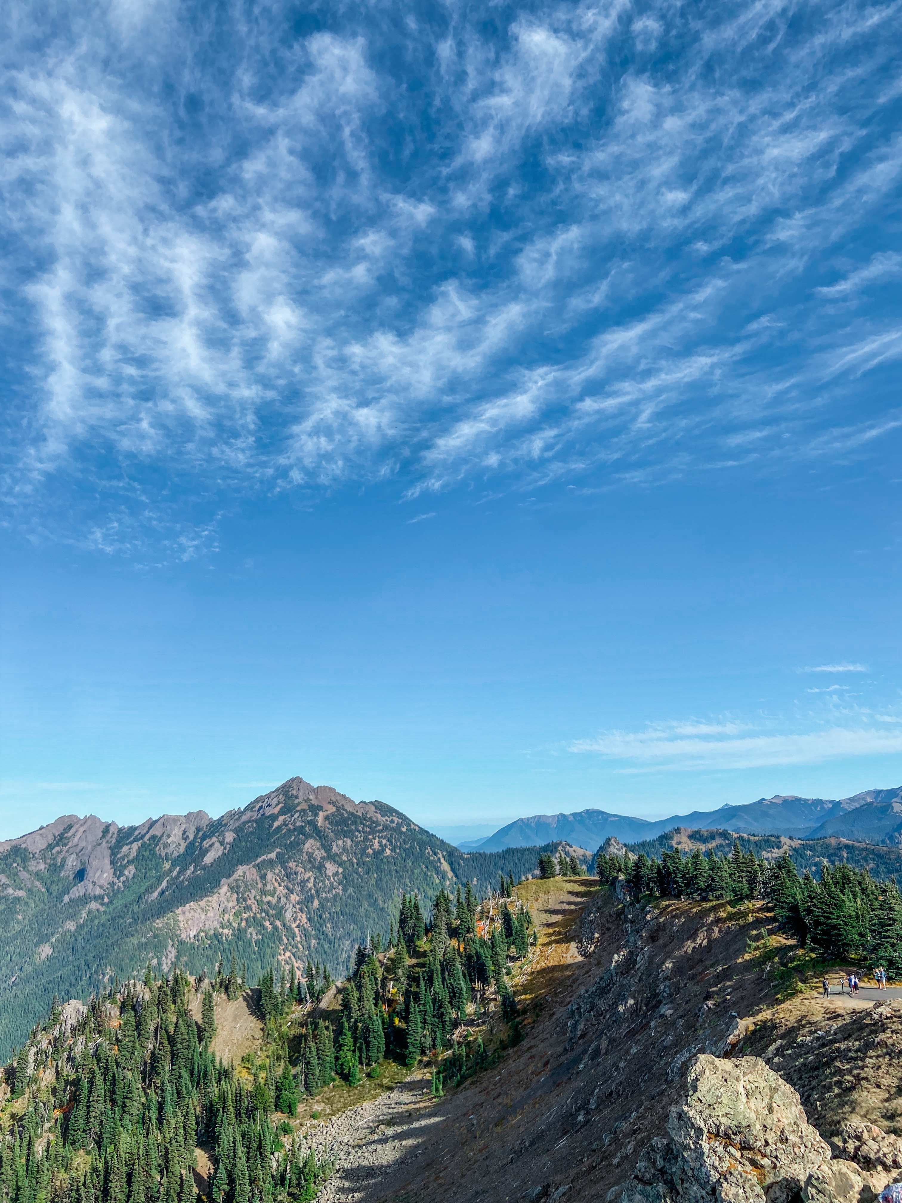 How to Visit Hurricane Ridge | The Best View in Olympic National Park