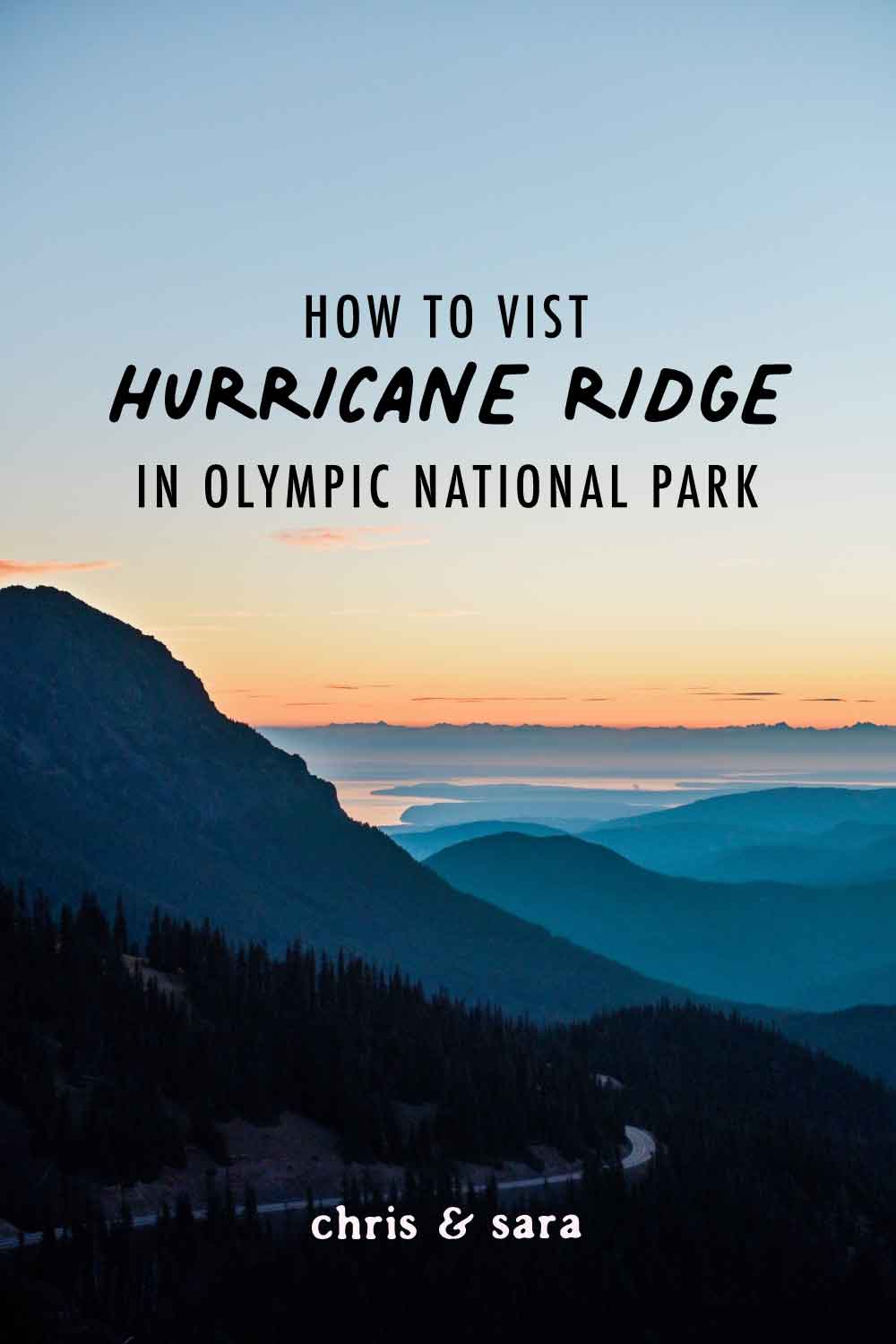 How to Visit Hurricane Ridge | The Best View in Olympic National Park
