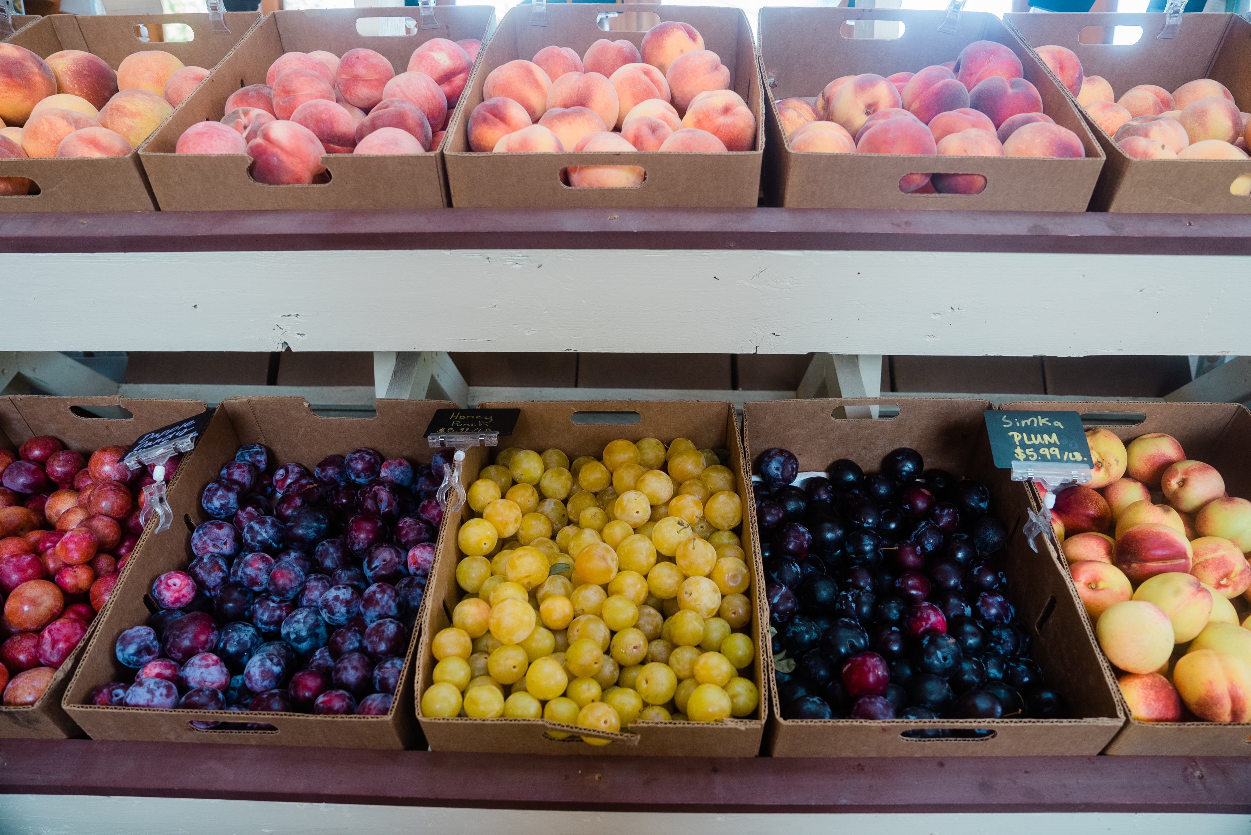 35 Best Things to do in Portland, Oregon