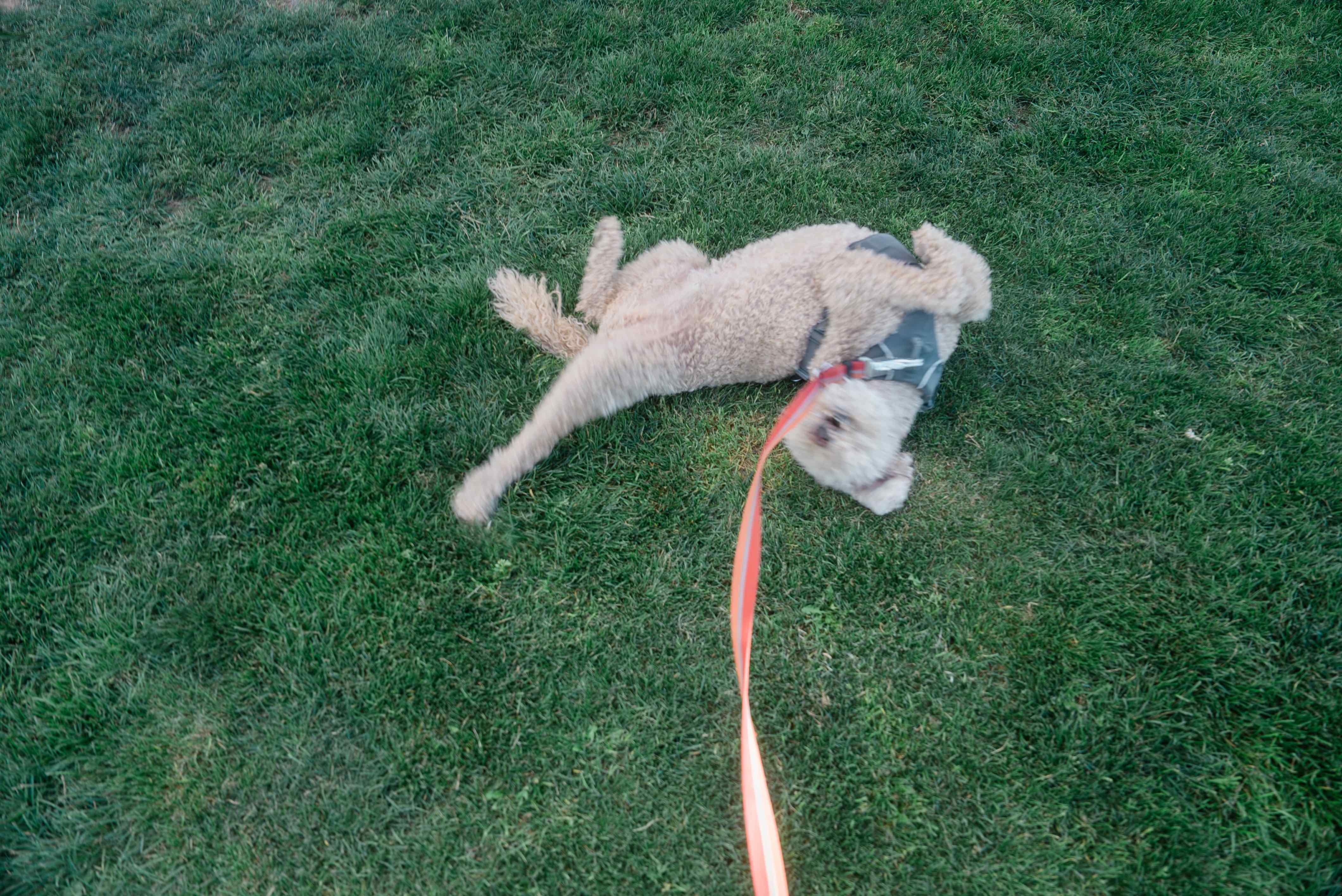 All the Best Stops on the Hood River Fruit Loop