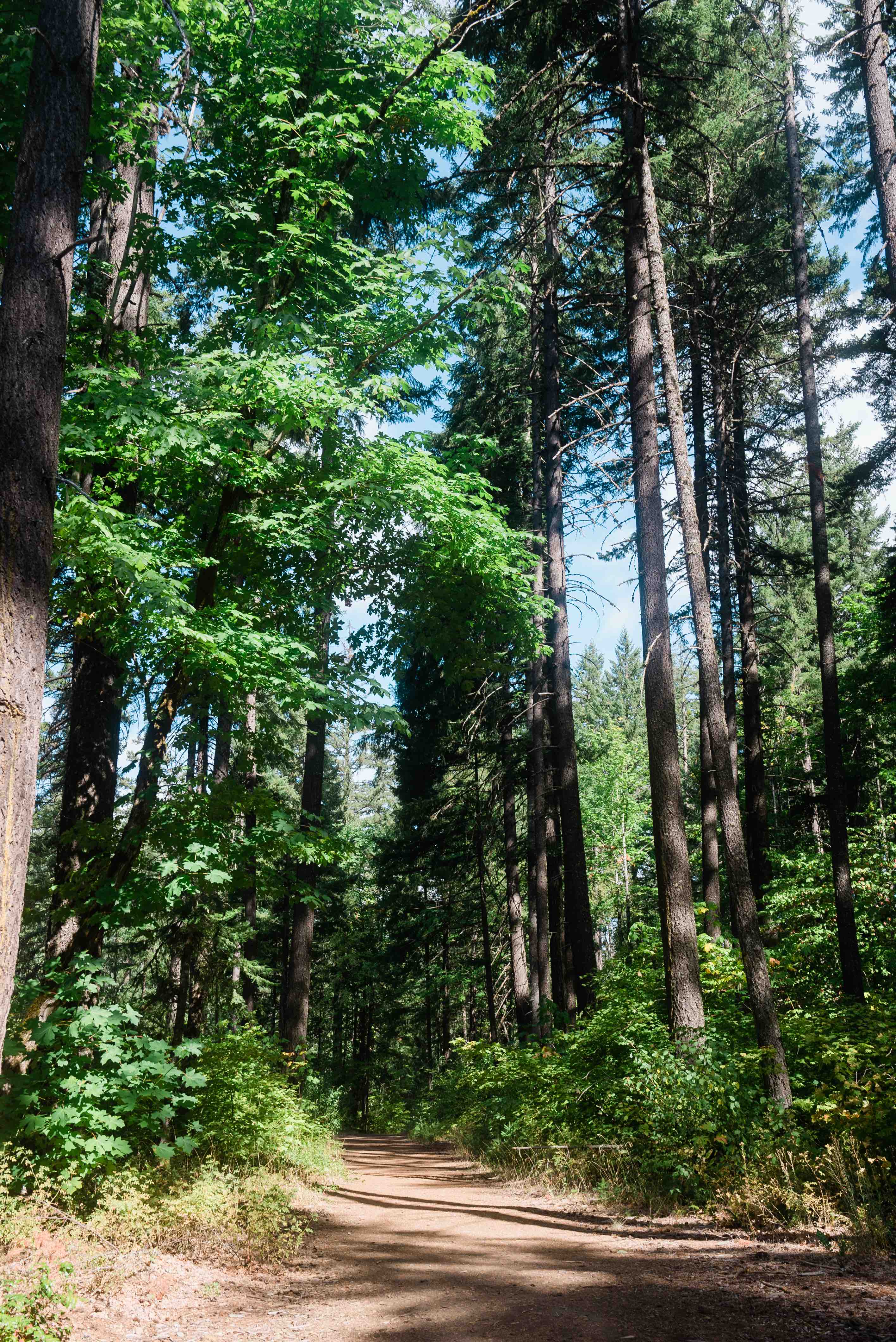 All the Best Stops on the Hood River Fruit Loop