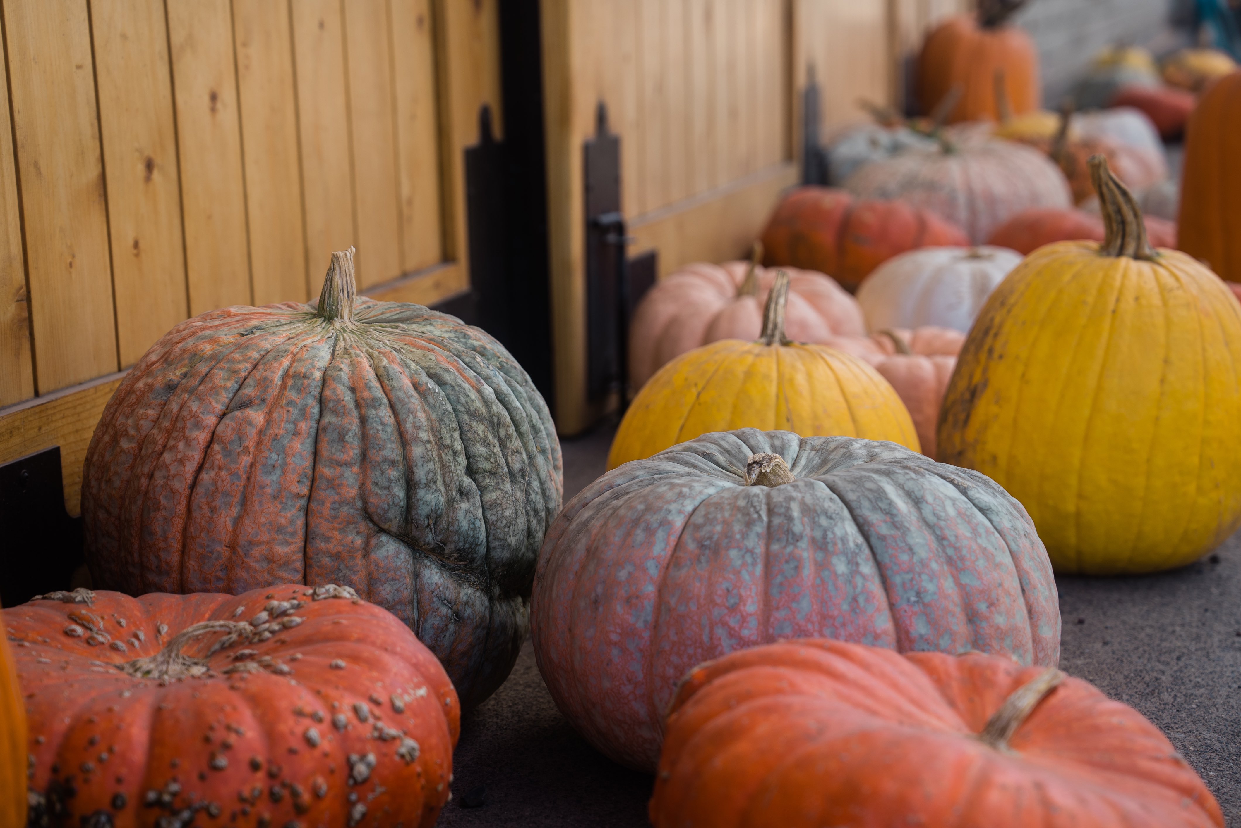 All the Best Stops on the Hood River Fruit Loop