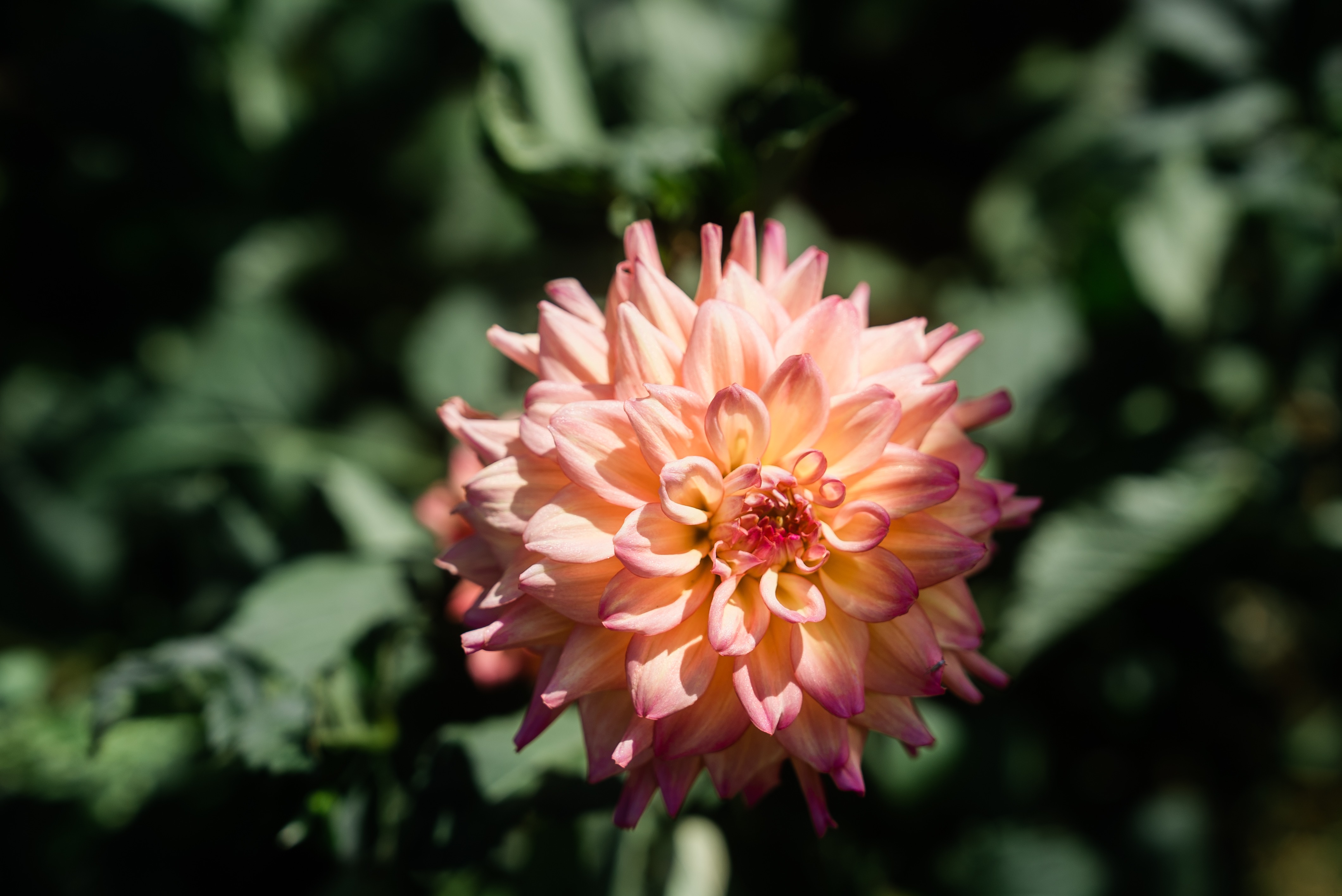 All the Best Stops on the Hood River Fruit Loop