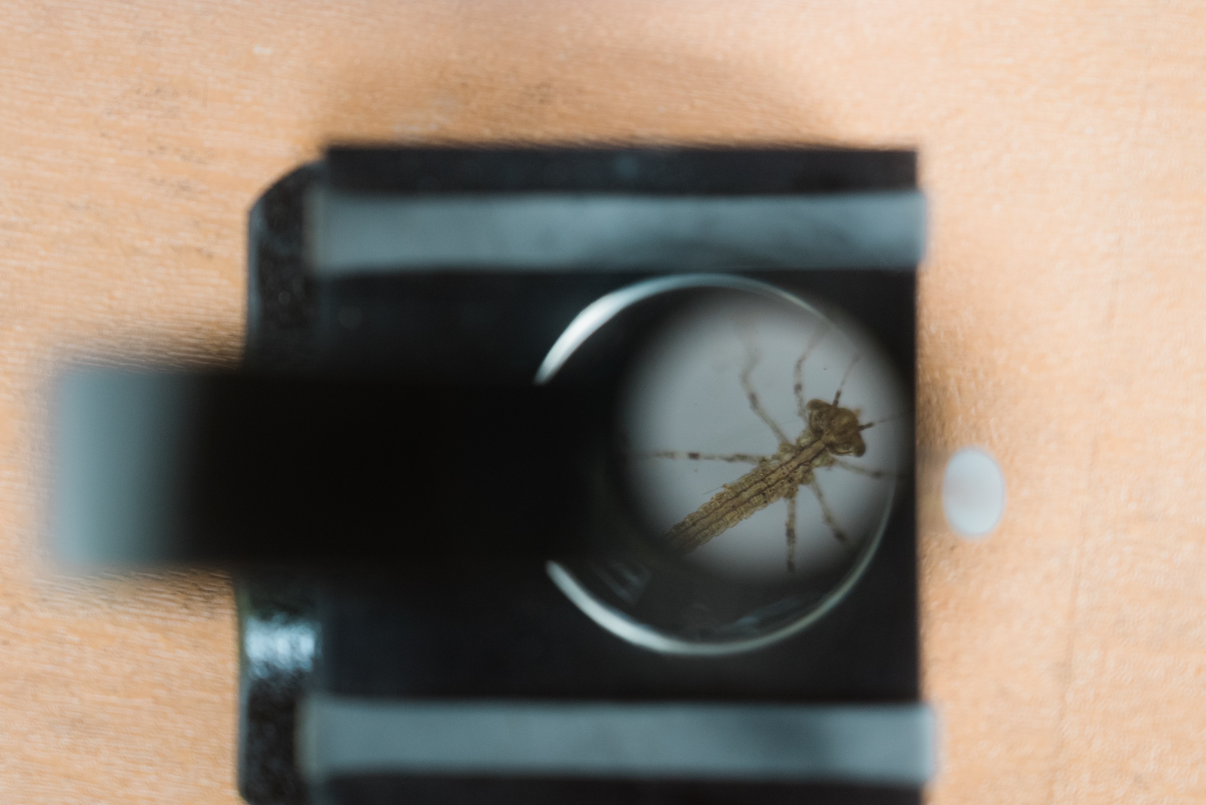 The 25 Best Things to do in Augusta, Georgia