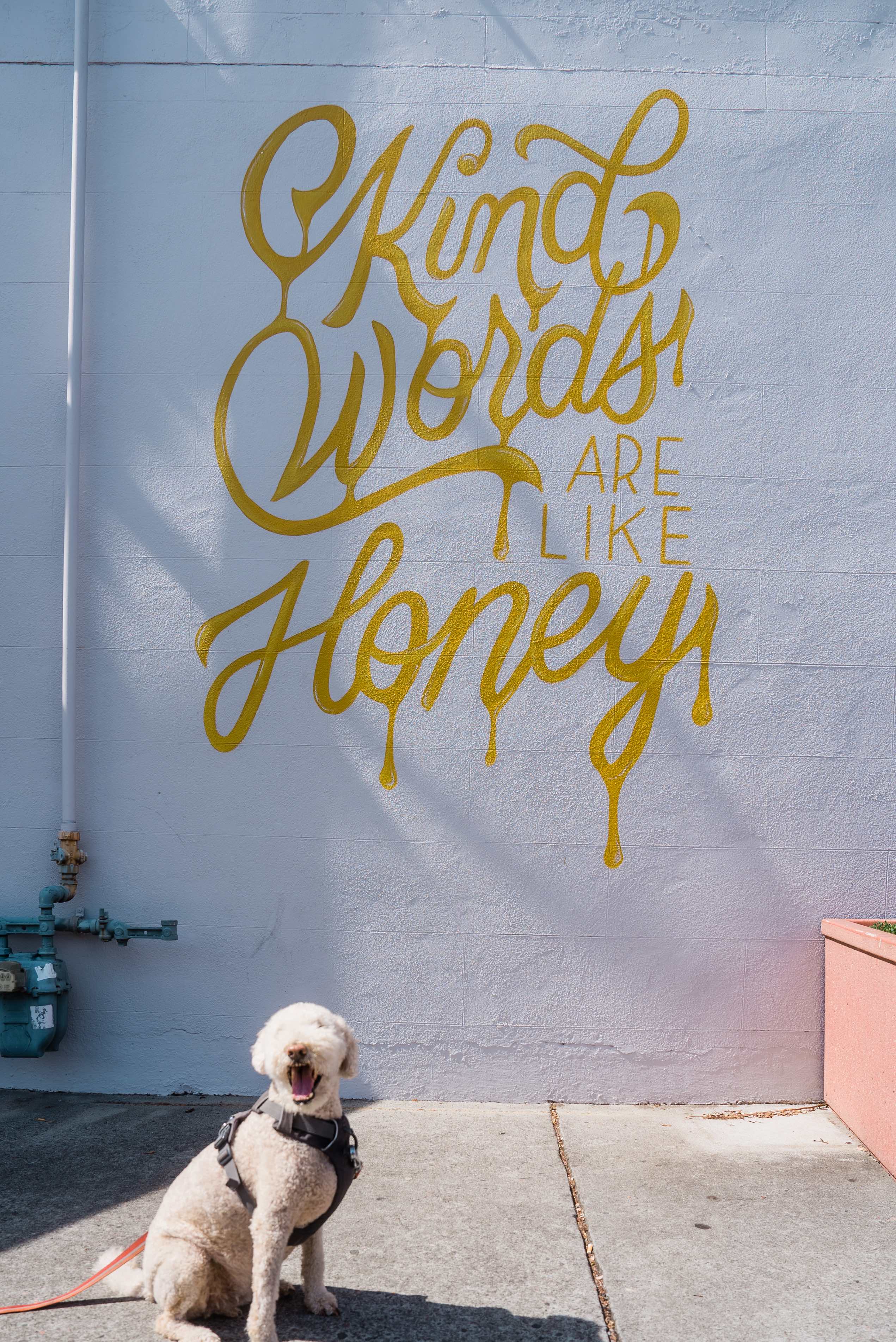 The 25 Best Things to do in Augusta, Georgia