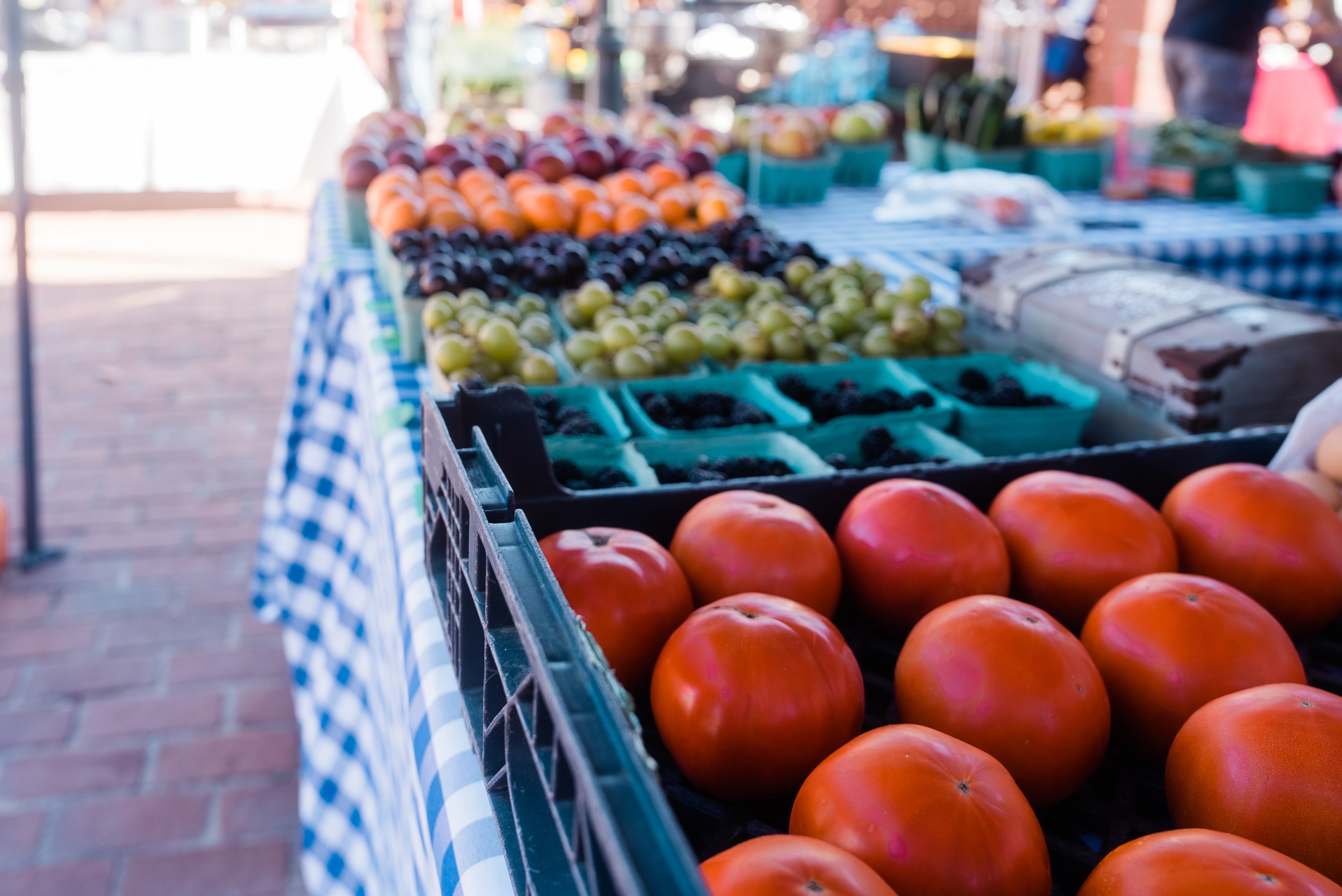 19 BEST Things to do in Spokane, Washington