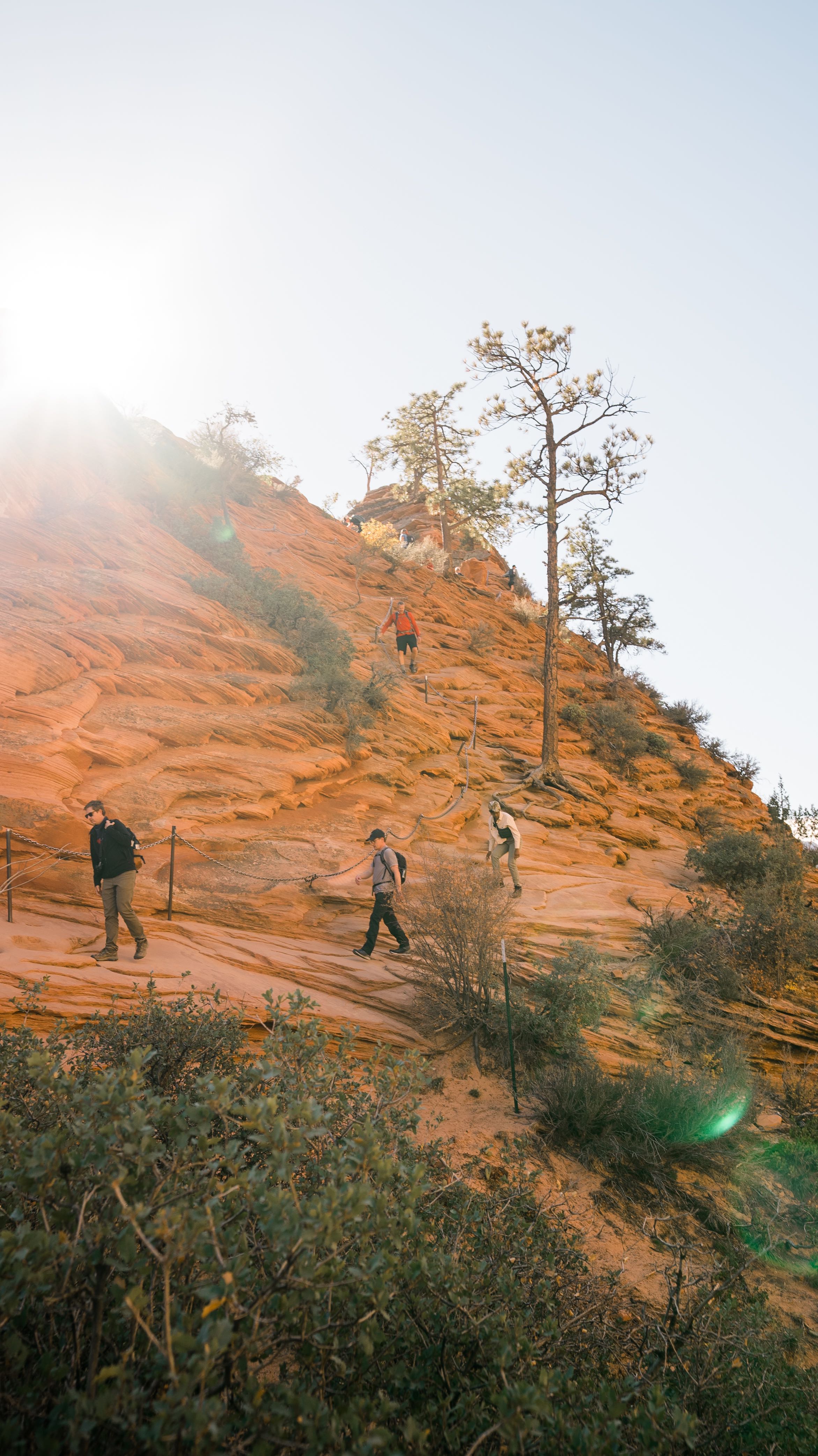 How to Hike Angel's Landing in Zion National Park (permit, gear, trail ...