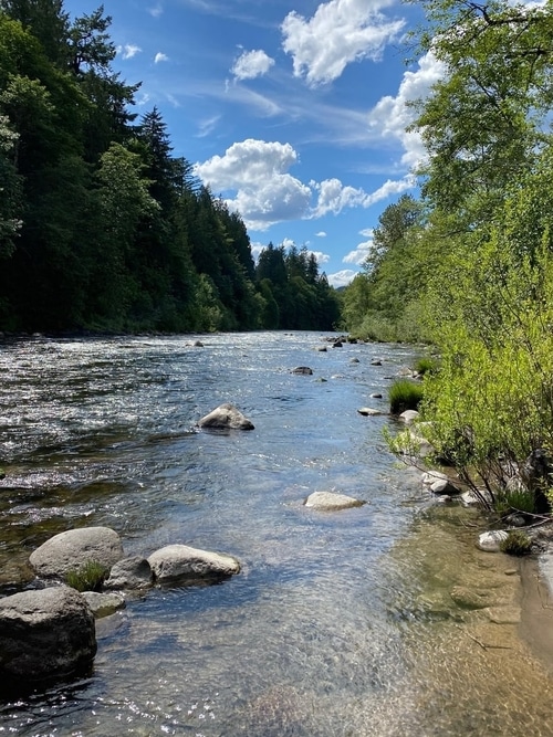 Eco Friendly Labels | Grand Rapids Label