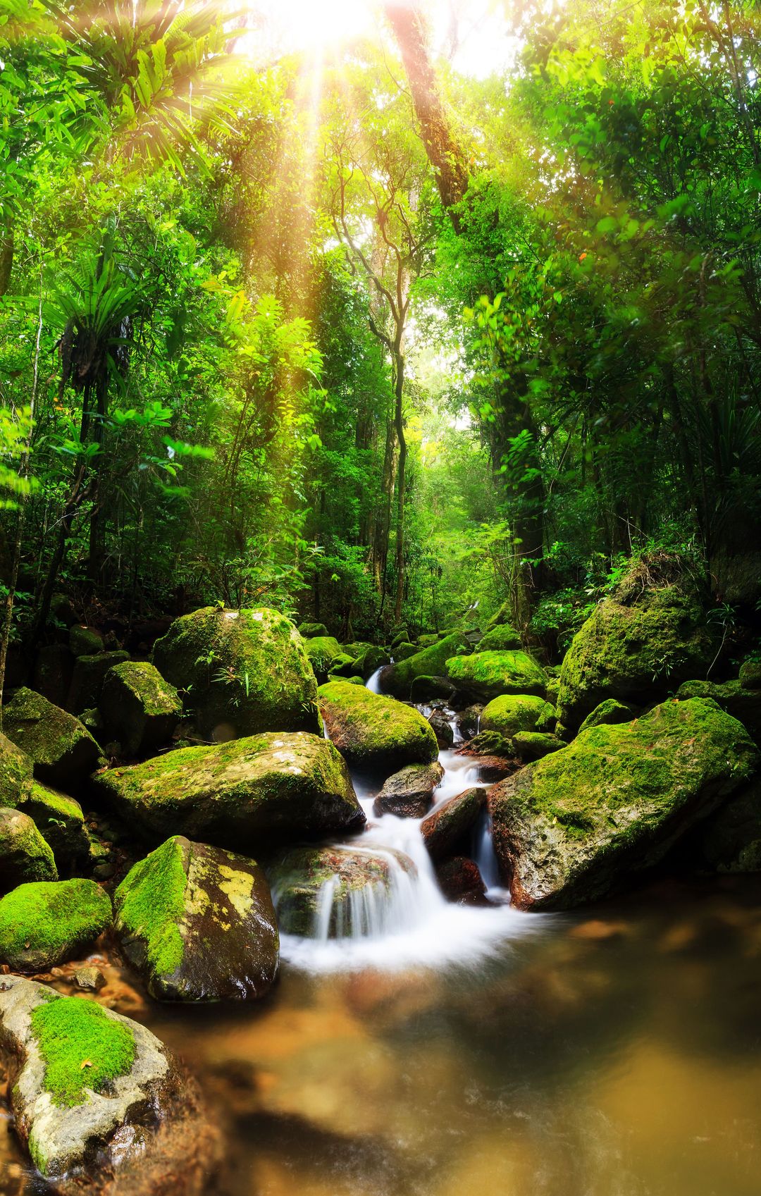 Custom Product Labels | Grand Rapids Label