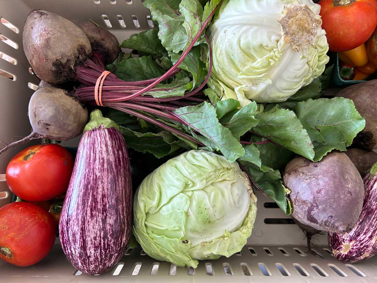 Local Environmental Agriculture Project | LEAP | Roanoke | Virginia ...