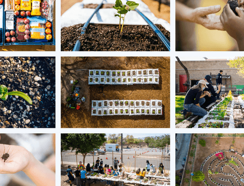 Urban Farming Education - We Are UFE