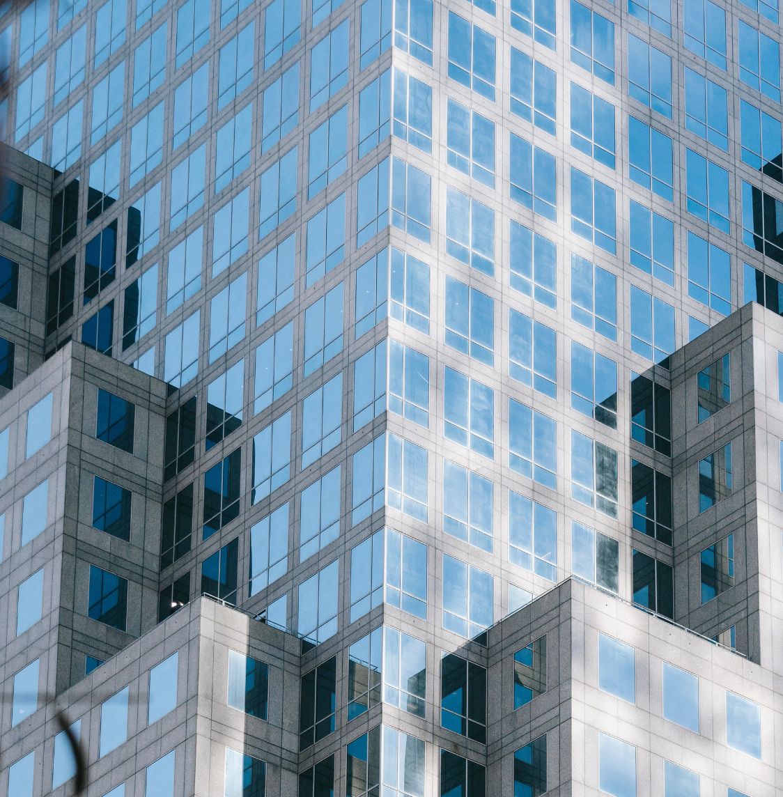 How Green Hive Rates Ethical Brands