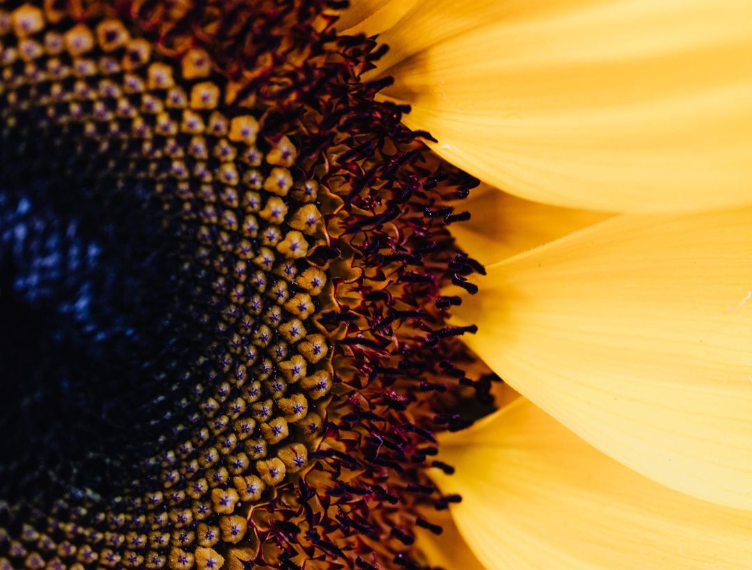 How Green Hive Rates Ethical Brands