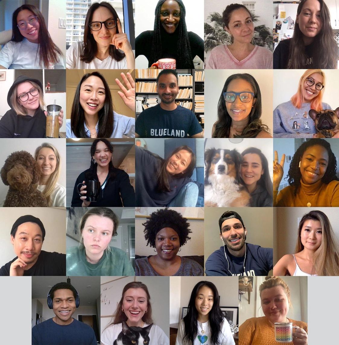 How Green Hive Rates Ethical Brands