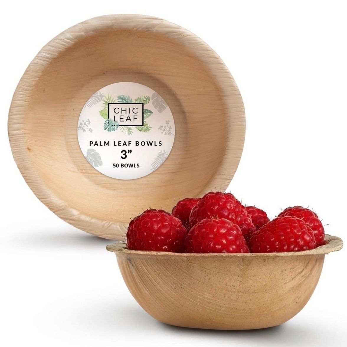 5 Best Eco-friendly Disposable Palm Leaf Plates made from fallen leaves