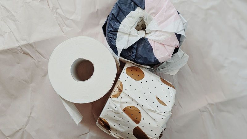 Why Organic Toilet Paper is a Responsible Choice: 9 Sustainable Toilet ...
