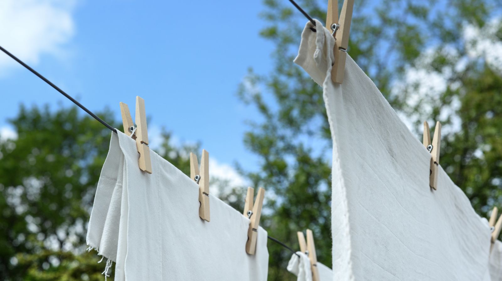 The 8 best Zero Waste and Plastic-free Laundry Detergent Brands