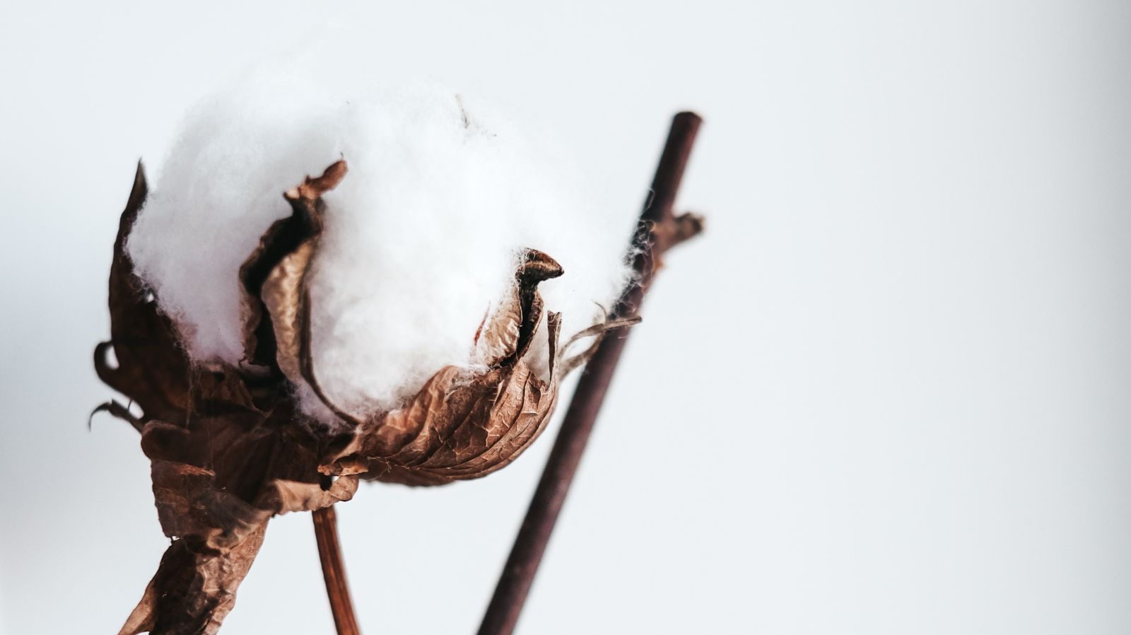 Demystifying Cupro Fabric: Everything You Need To Know About The Semi ...