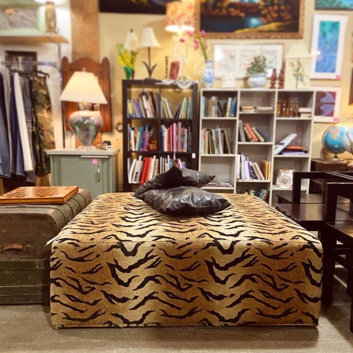 Thrift Stores Portland: Discovering 15 Hidden Gems for Incredible Finds!