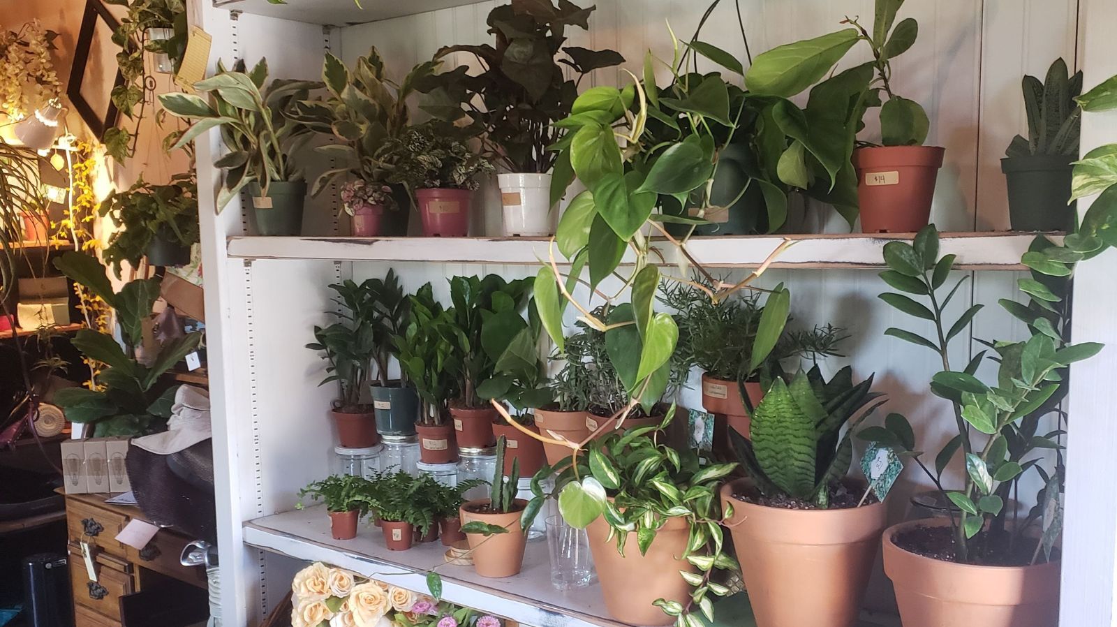 Diving into San Diego's Thrifting Scene: The Ultimate Guide to 16 ...