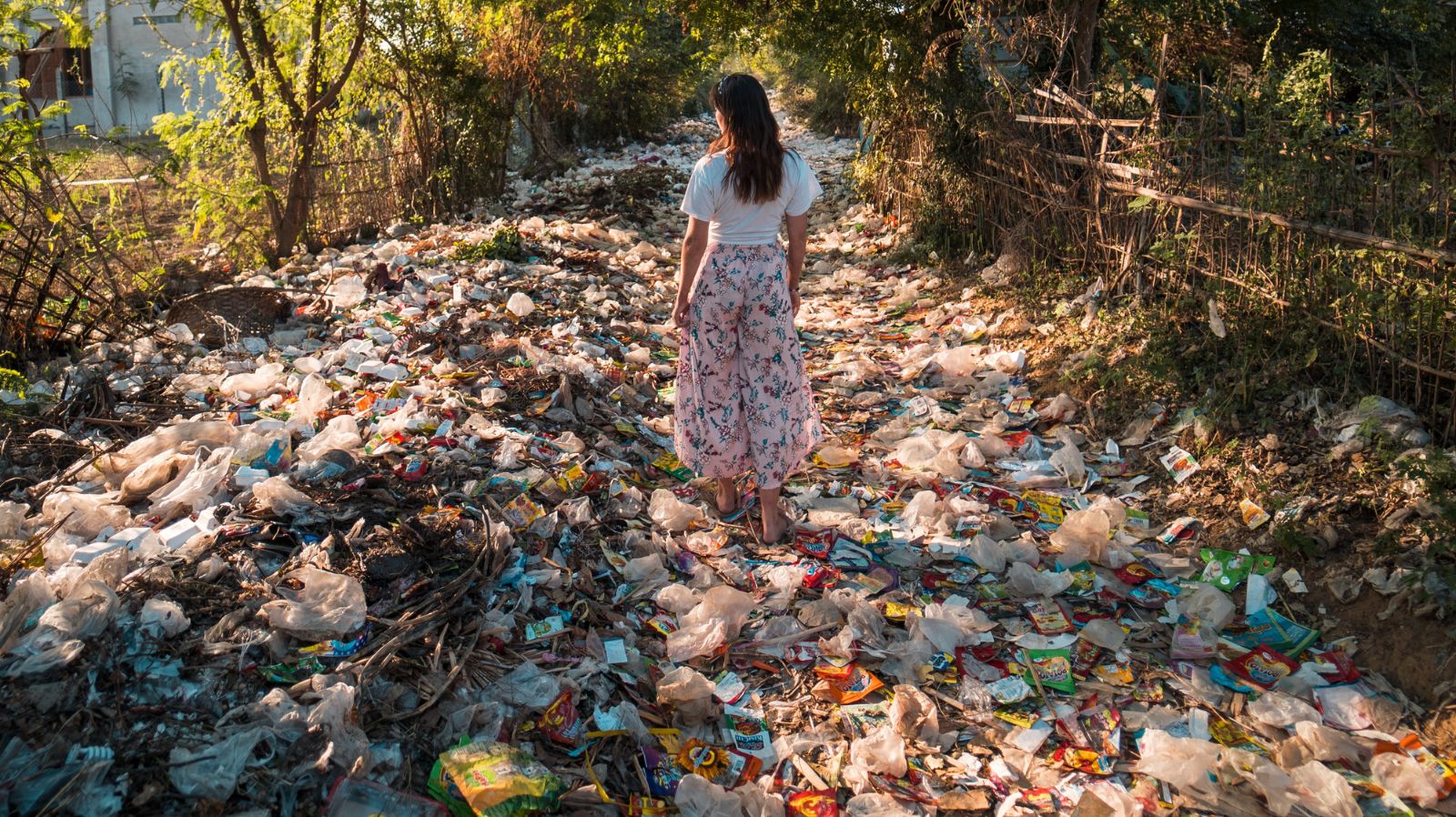 Eco-Conscious Living: Essentials You Need To Know About Green Living