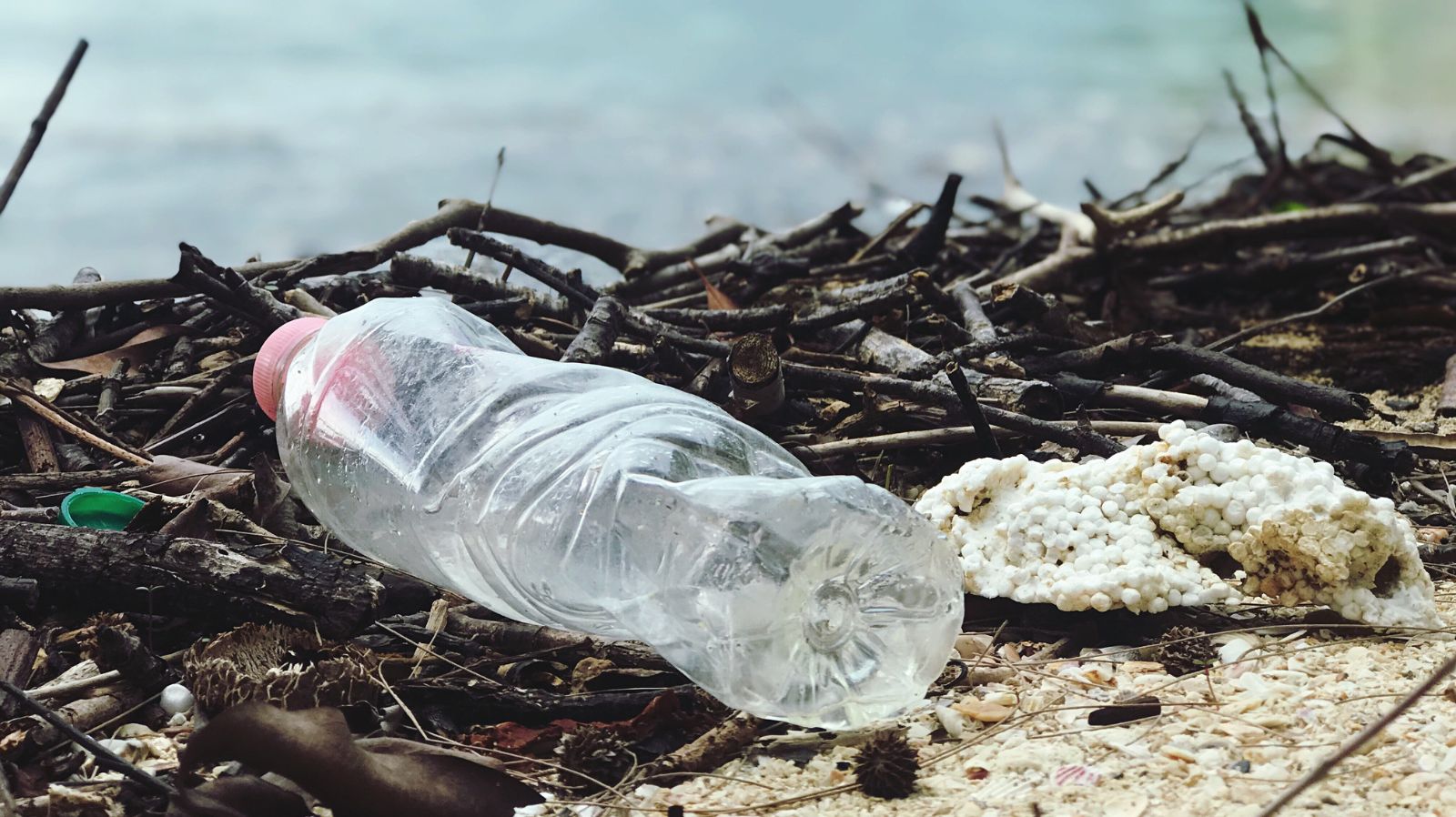 The Science Behind Sustainable Living: Why Eco-Friendly Choices Matter