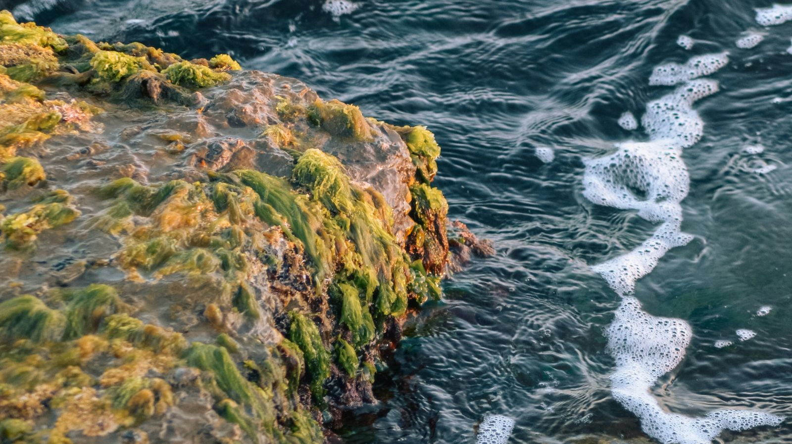 The Science Behind Sustainable Living: Why Eco-Friendly Choices Matter