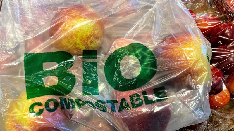Biodegradable vs Compostable: Understanding the Difference