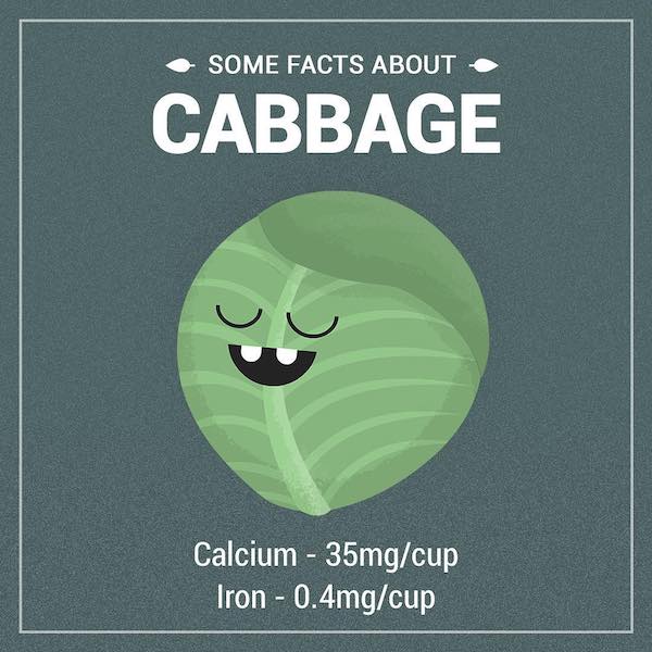 Some facts about Cabbage – Simple Happy Kitchen