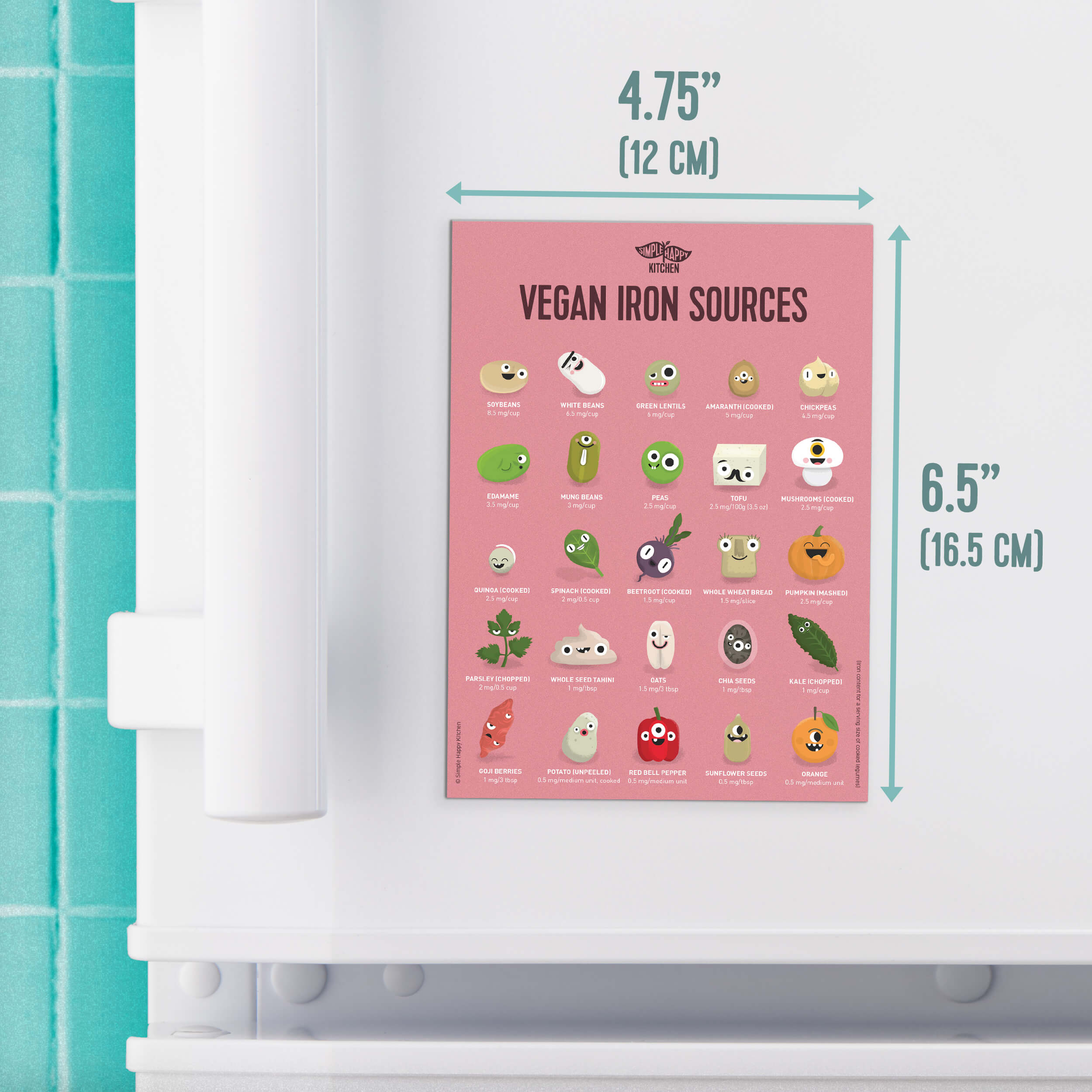 Vegan Fridge Magnet - Iron Sources