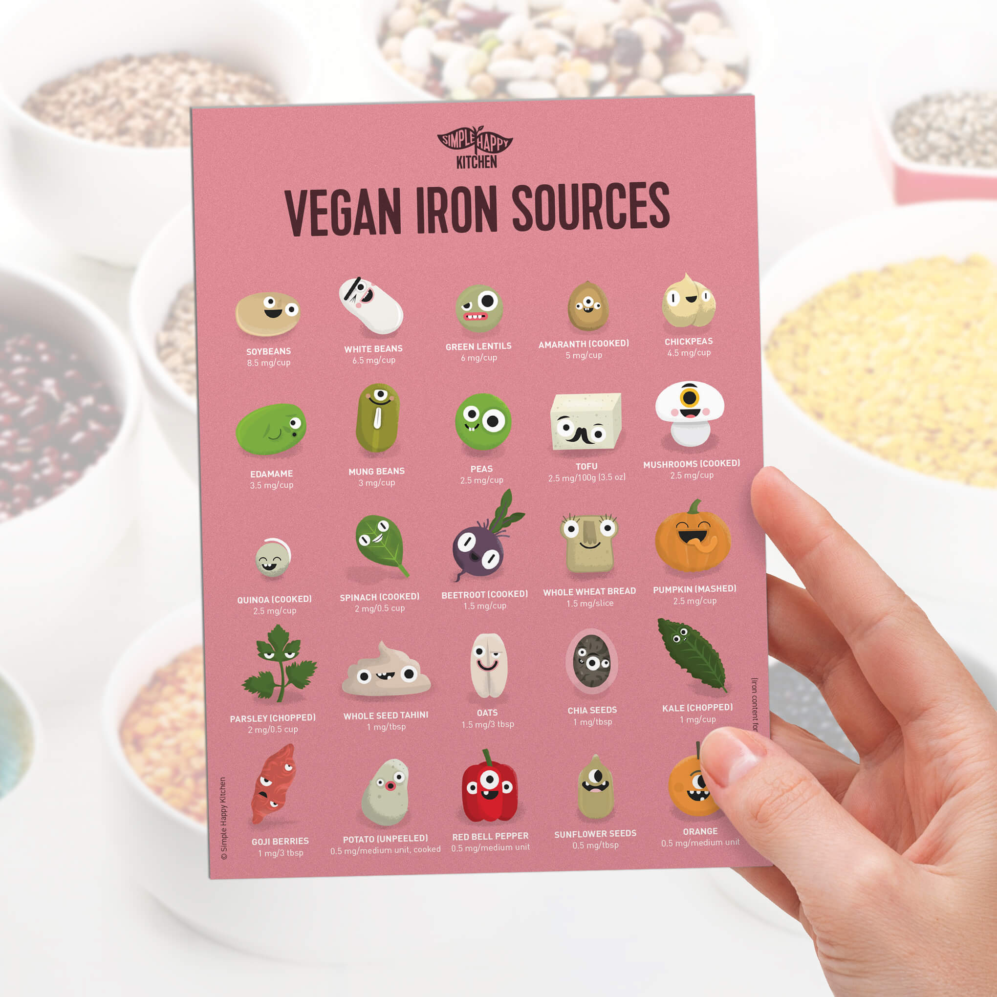 Vegan Fridge Magnet - Iron Sources