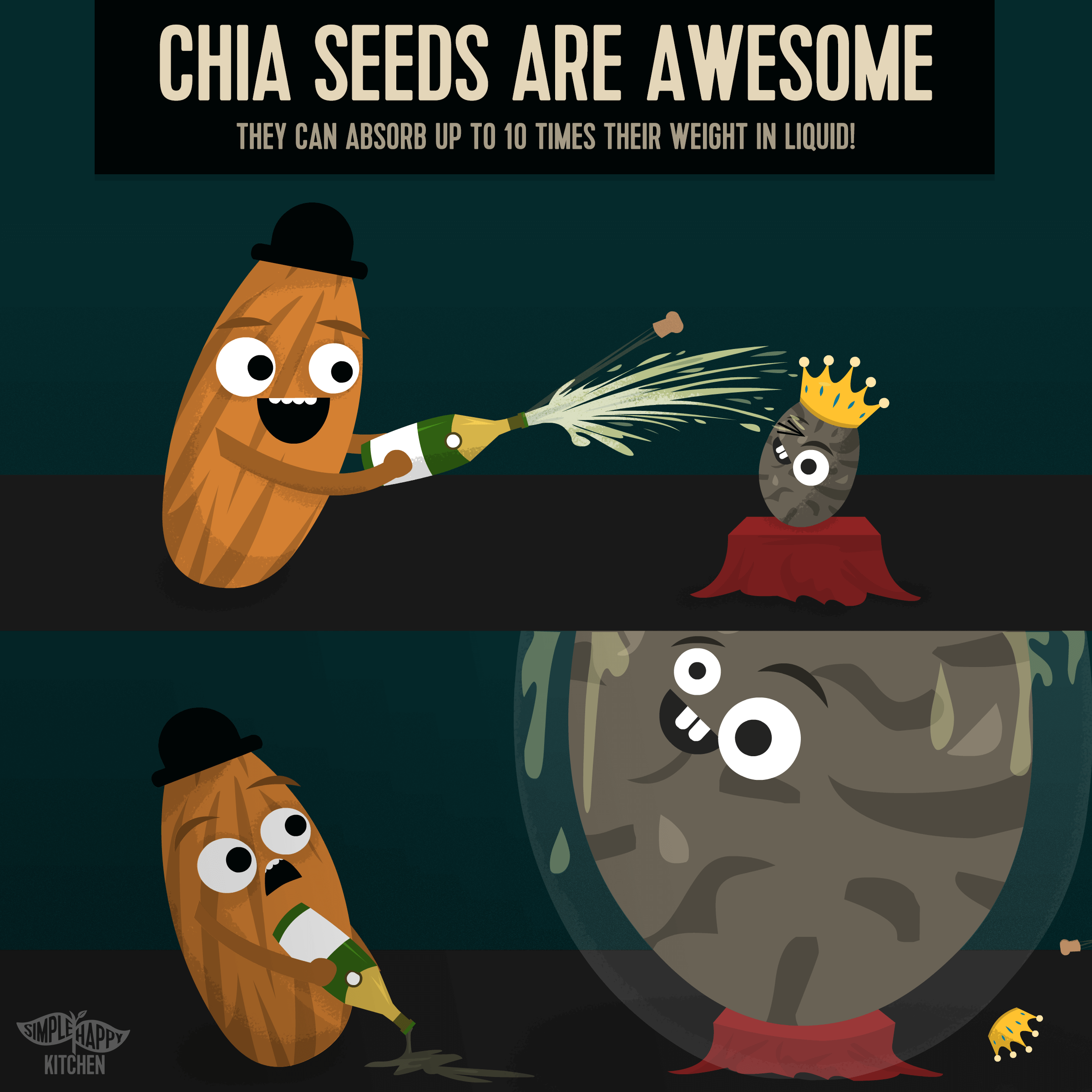 Chia Seeds are awesome and here’s why – Simple Happy Kitchen