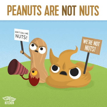 Today is Peanut Butter Day! – Simple Happy Kitchen