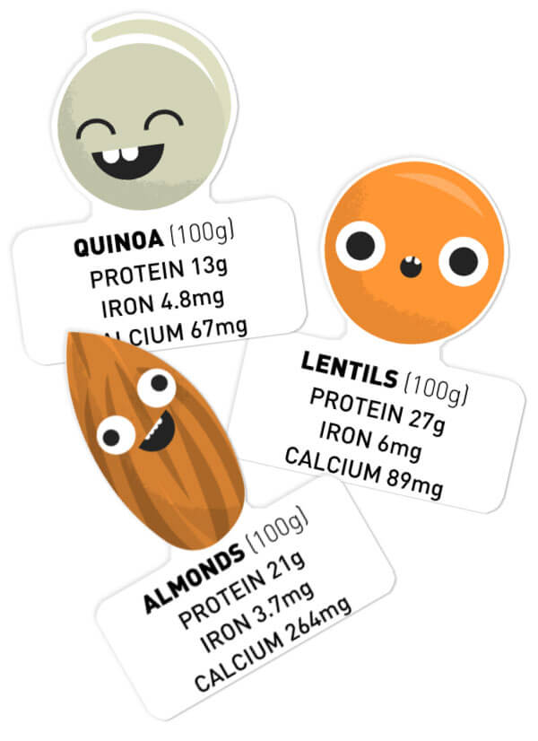 20 Cute Jar Labels Set With Nutrition Values of Nuts, Legume