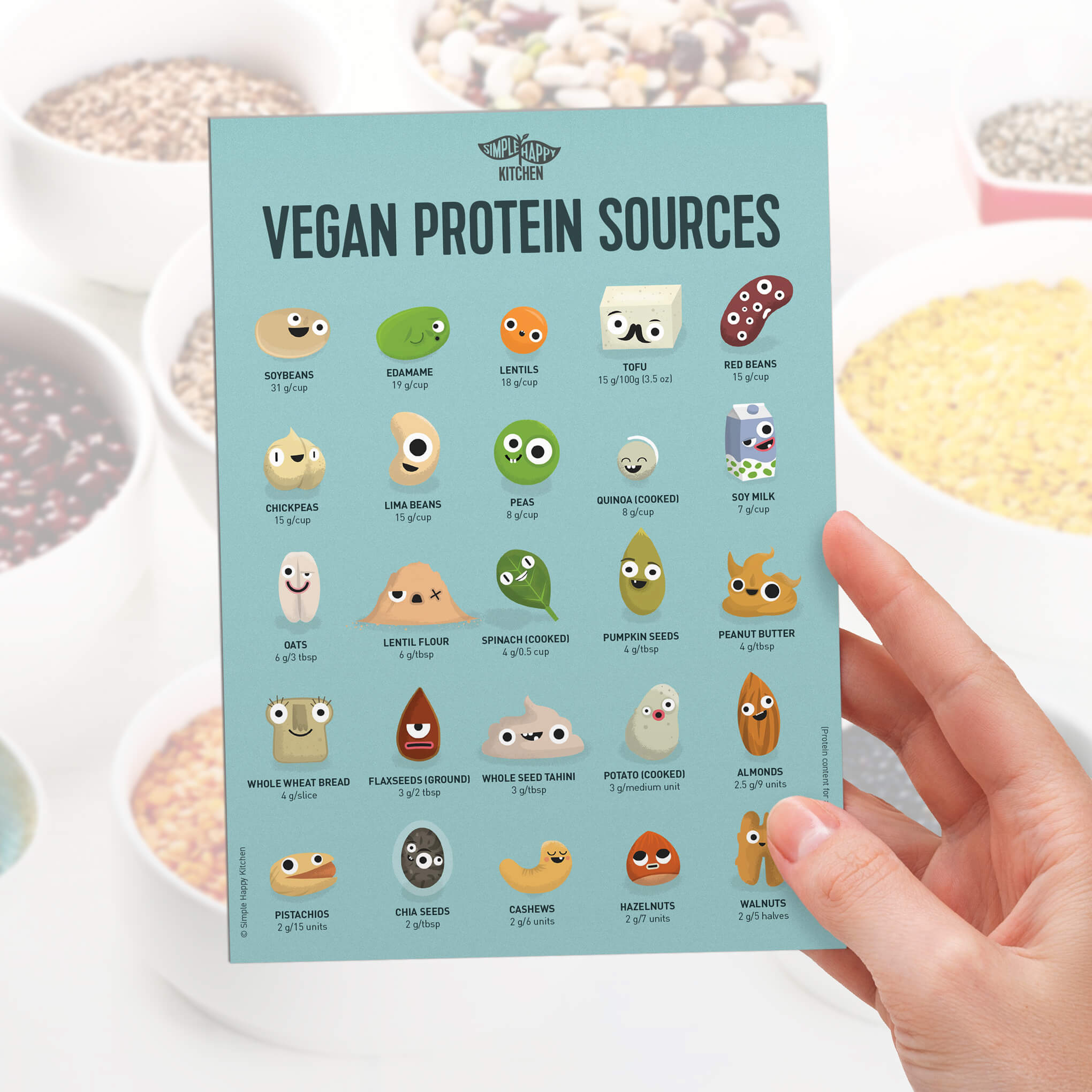 Vegan Fridge Magnet - Protein Sources