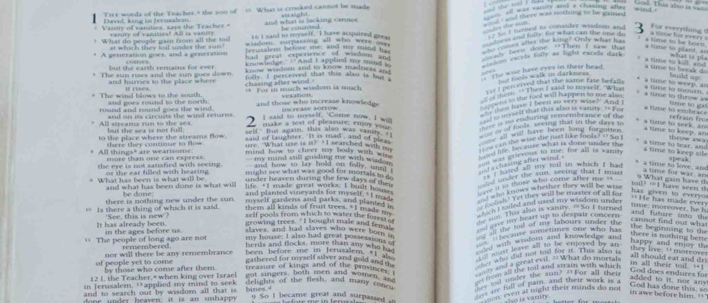 200+ Must-Have InDesign Scripts (Free and paid) | Redokun Blog