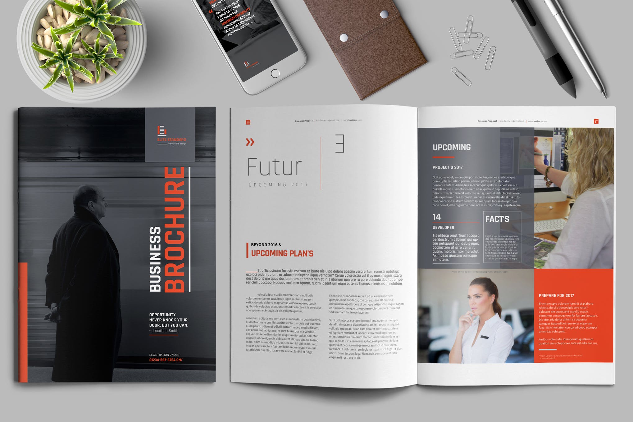 100 Fresh InDesign Brochure Templates (2024) | Redokun Blog