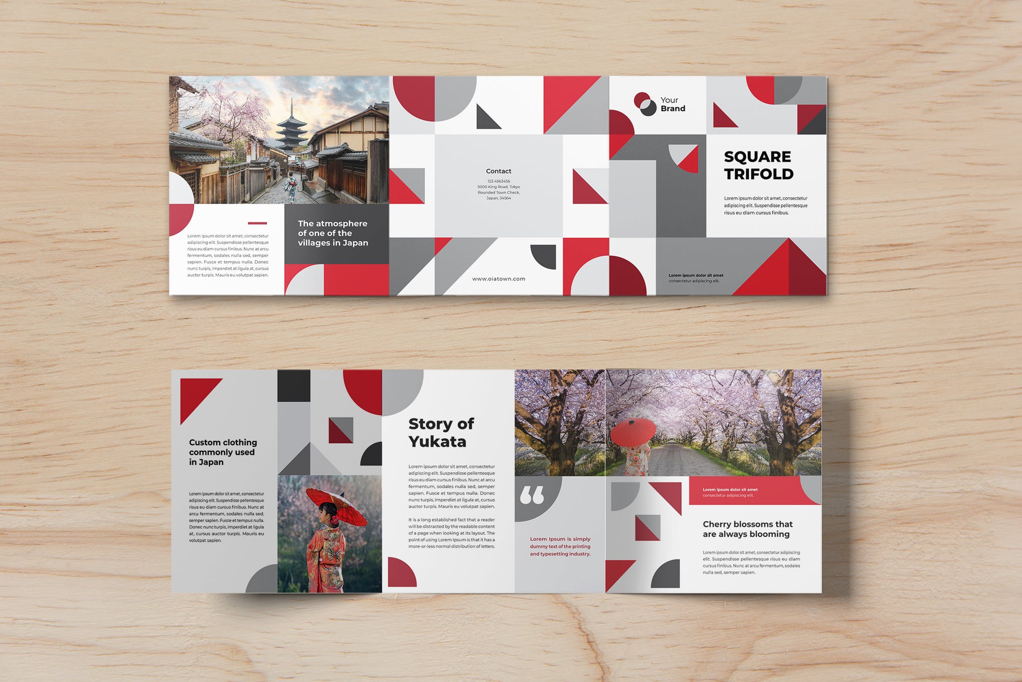 100 Fresh InDesign Brochure Templates (2024) | Redokun Blog