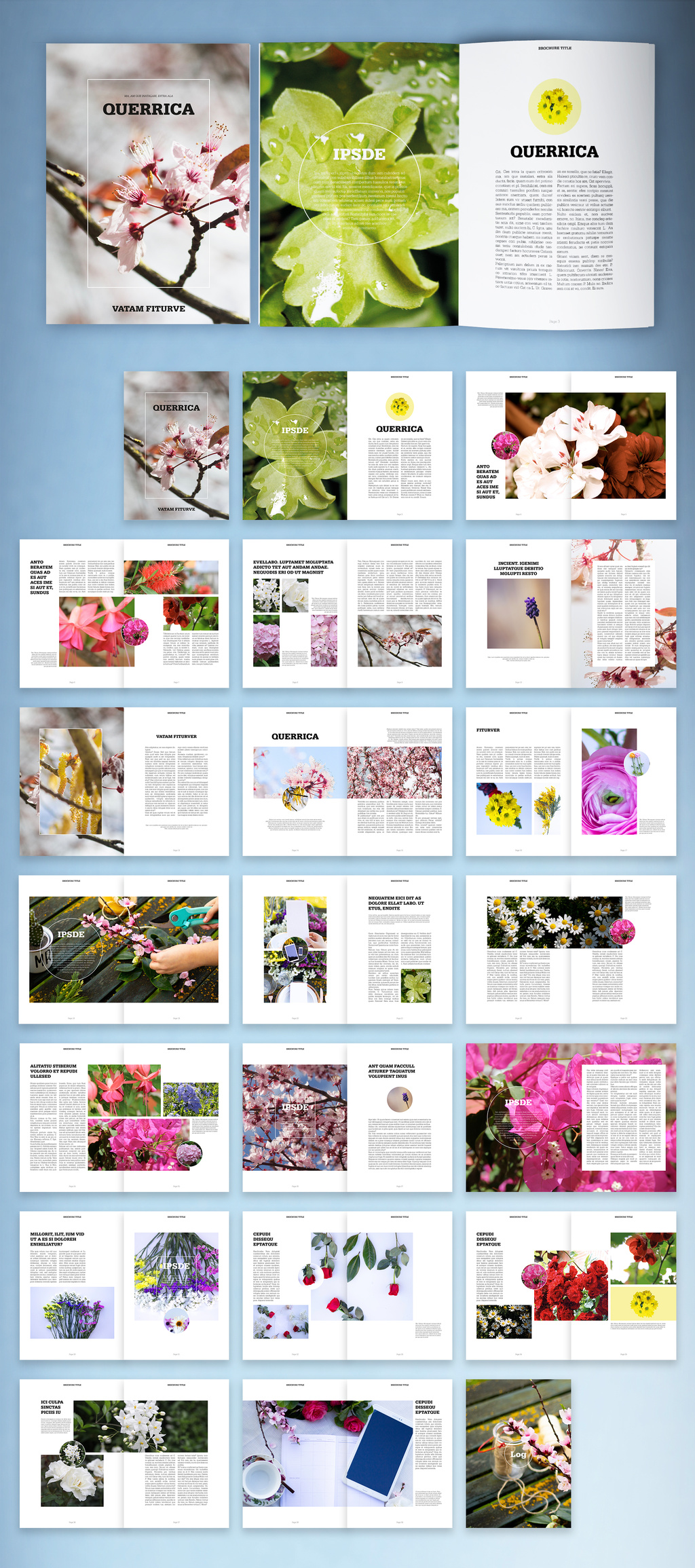 50 Best InDesign Book Templates (2023) | Redokun Blog