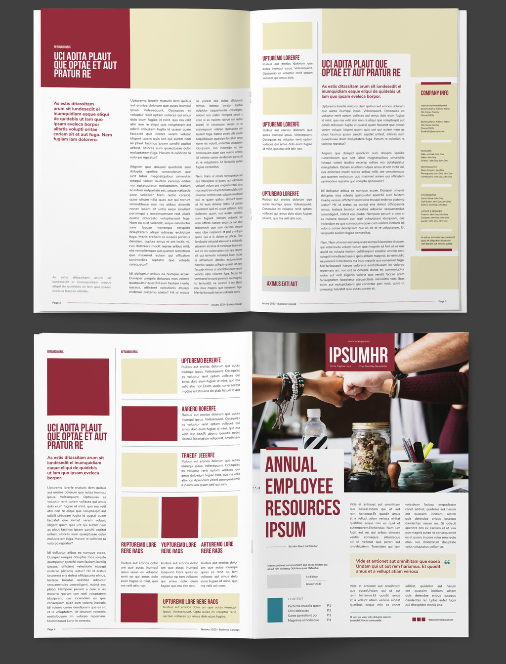 50 Modern InDesign Newsletter Templates | Redokun Blog