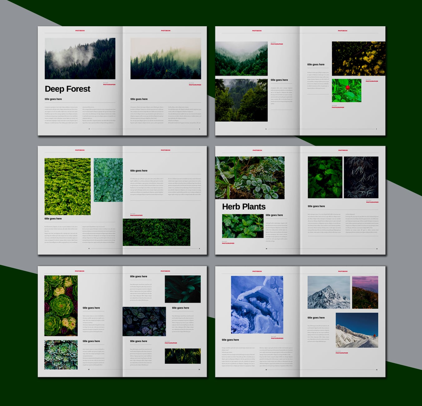 50 Best Free and Paid Photobook Templates (2023) | Redokun Blog
