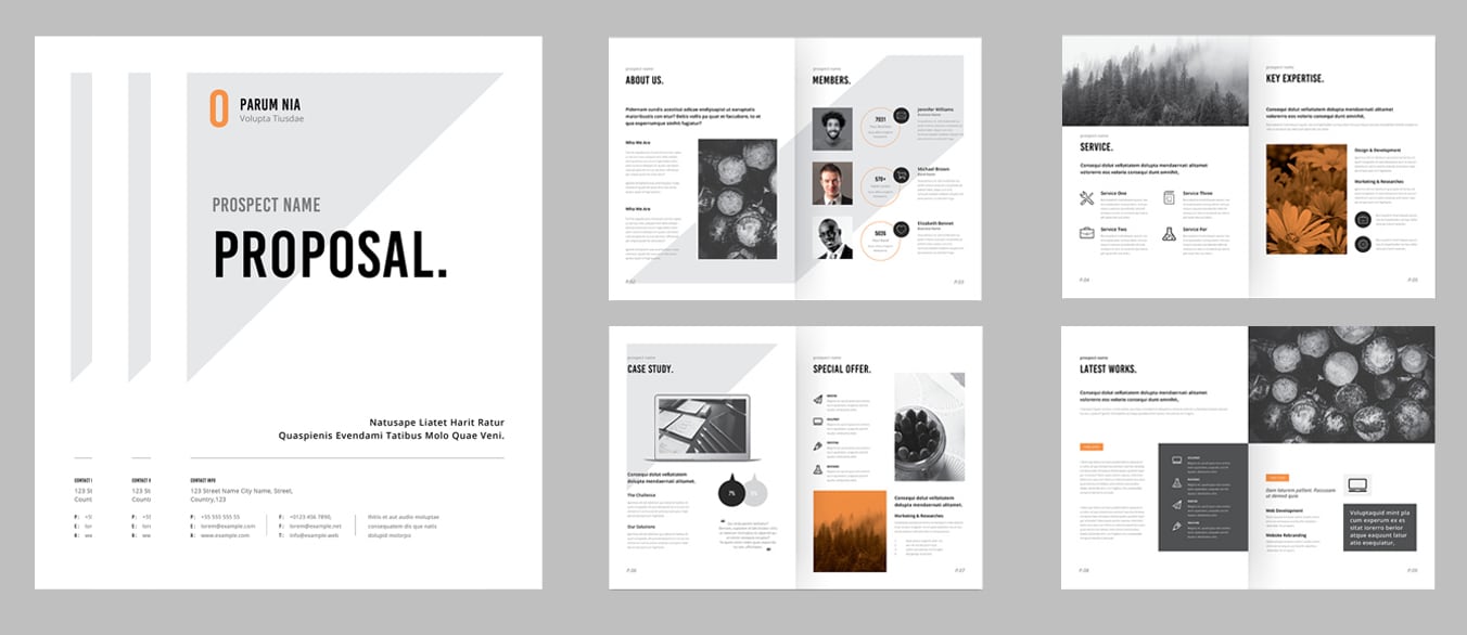 65 Free and Paid InDesign Proposal Templates (2023) | Redokun Blog