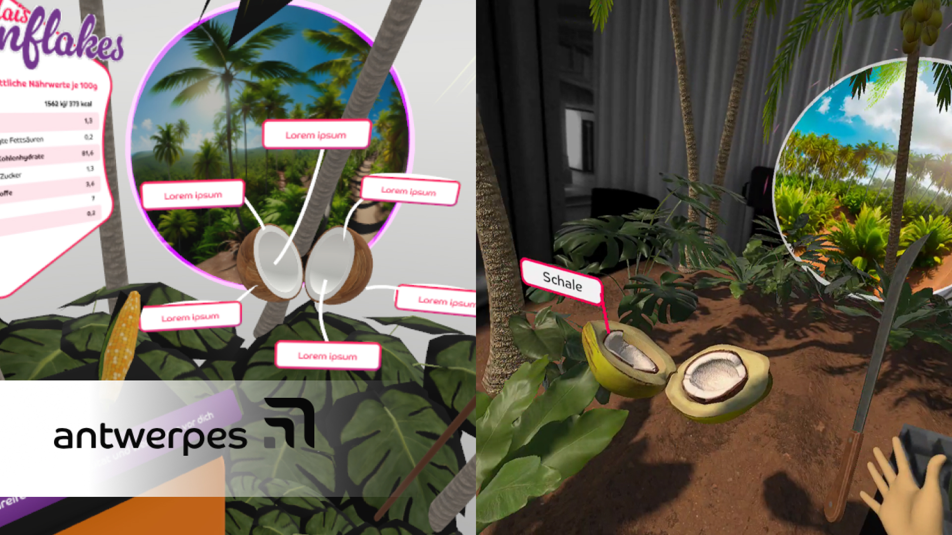 ShapesXR — Case Studies